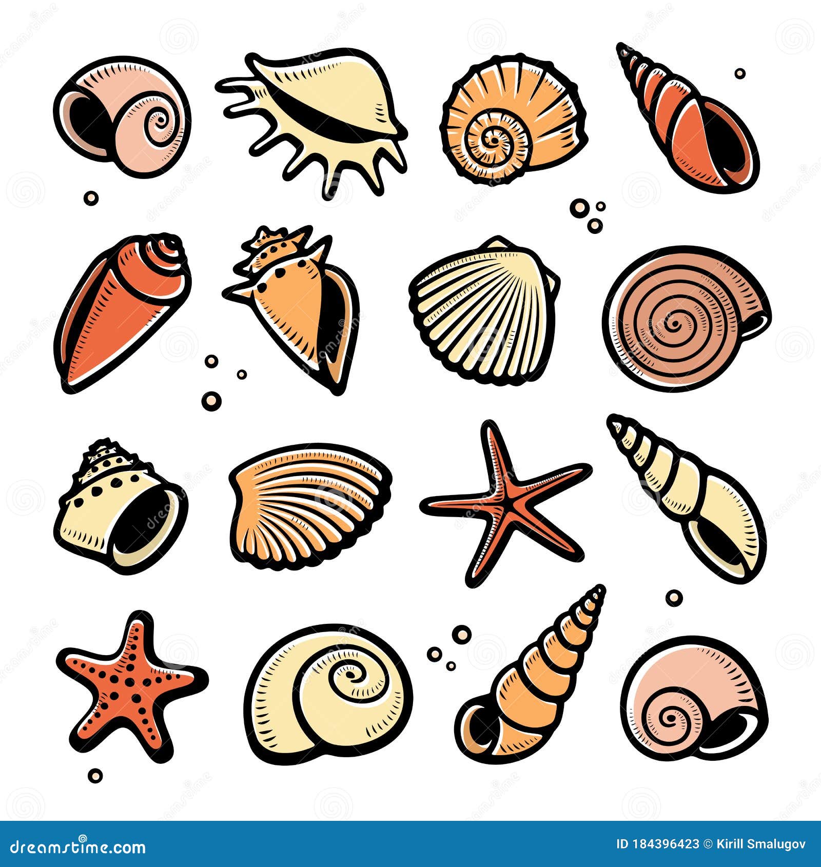 Seashells Set. Collection Seashells Icons Stock Vector - Illustration ...