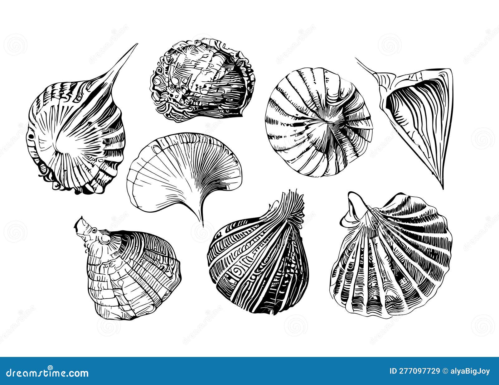 Seashells Set Hand Drawn Sketch Vector Illustration Sea Animals Stock ...