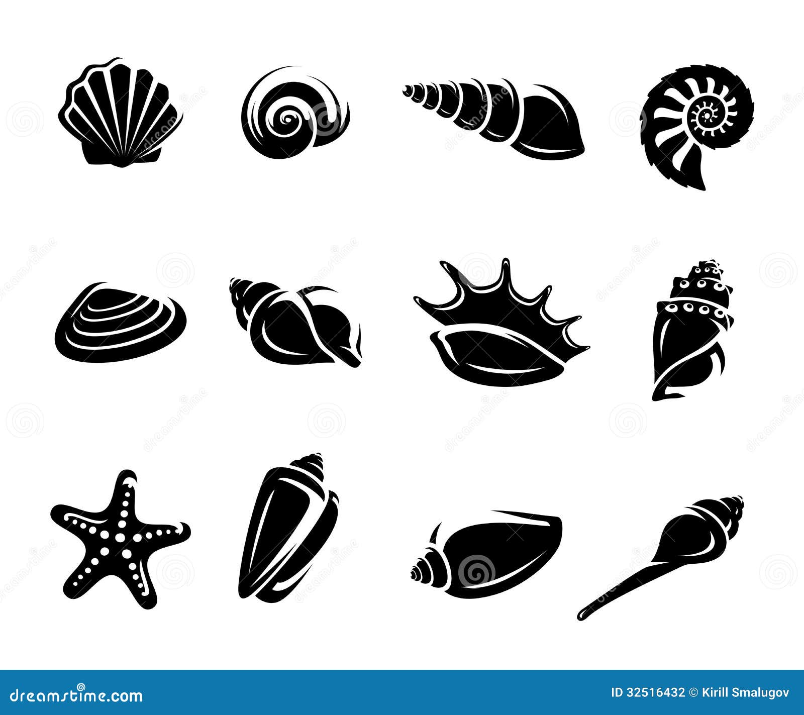 Seashells set. Vector stock vector. Illustration of scallop - 32516432