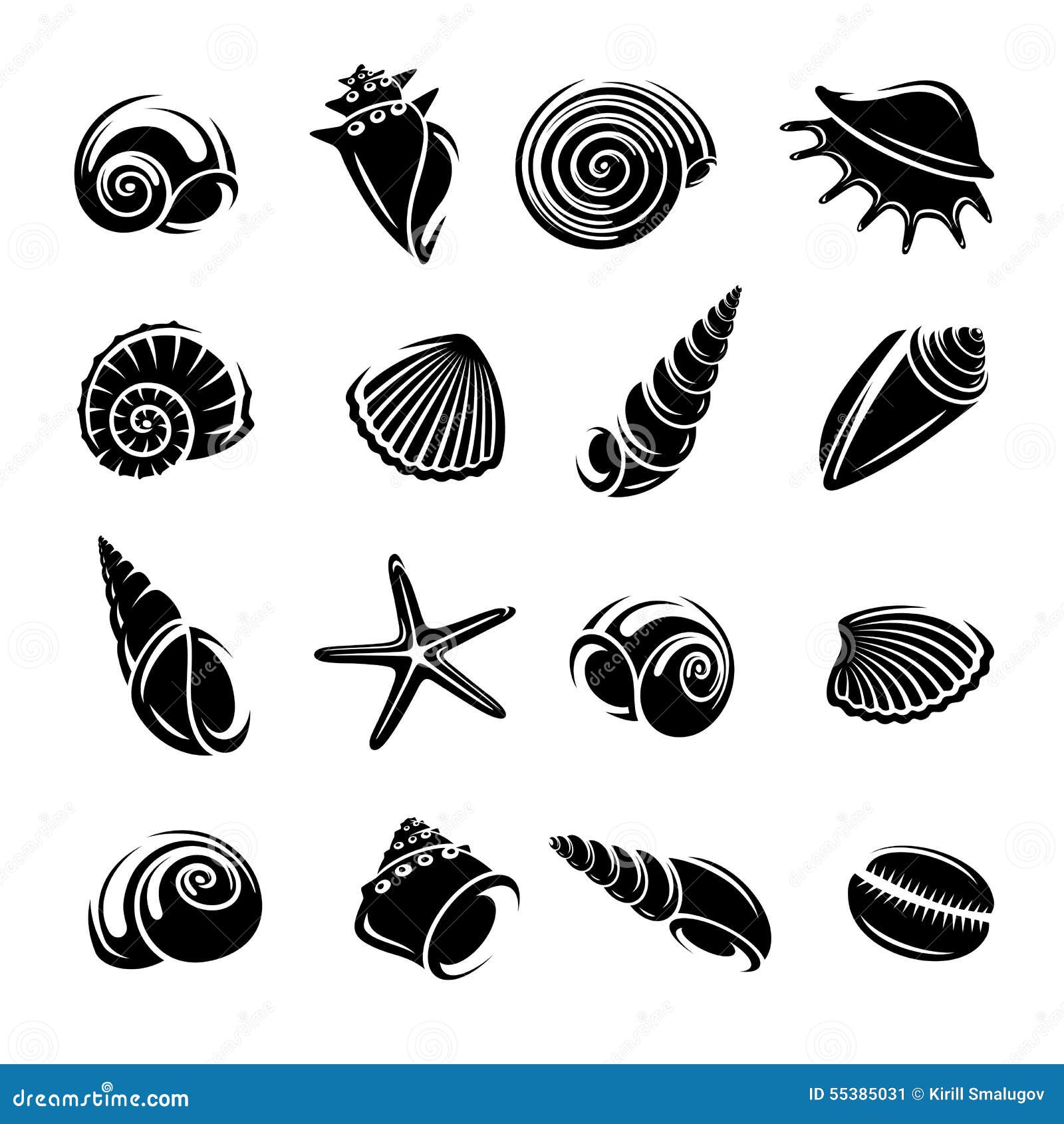 Seashells set. Vector stock vector. Illustration of design - 55385031