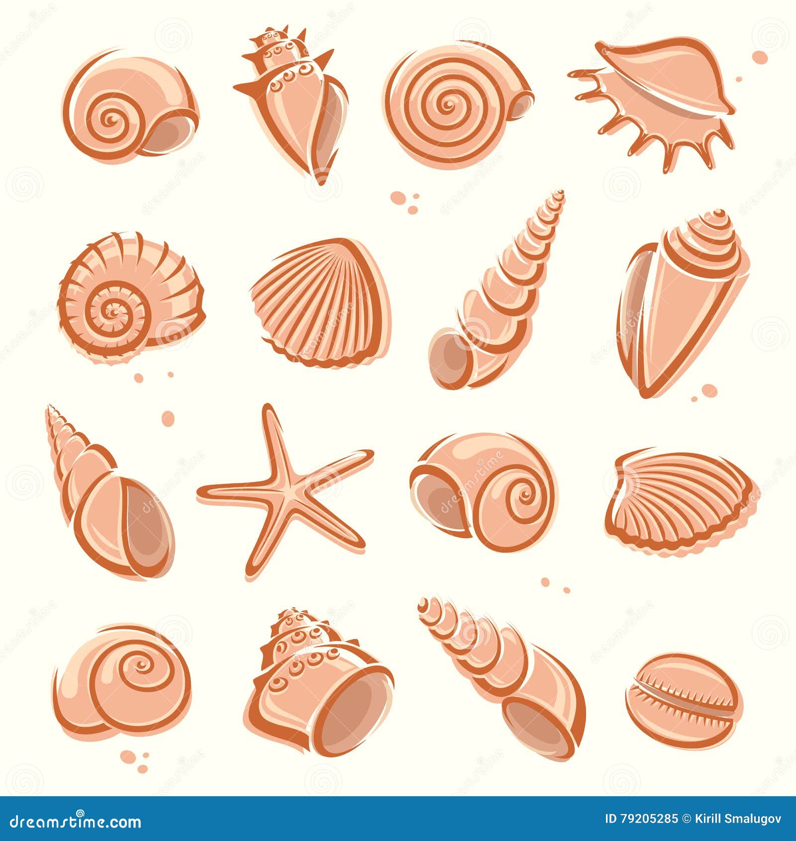 Seashells set. Vector stock vector. Illustration of background - 79205285
