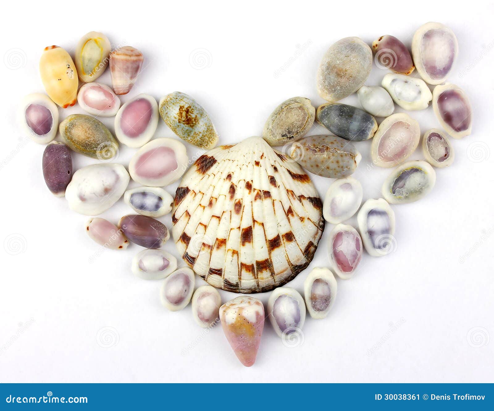 Seashells in the Shape of Heart Stock Image - Image of concepts ...