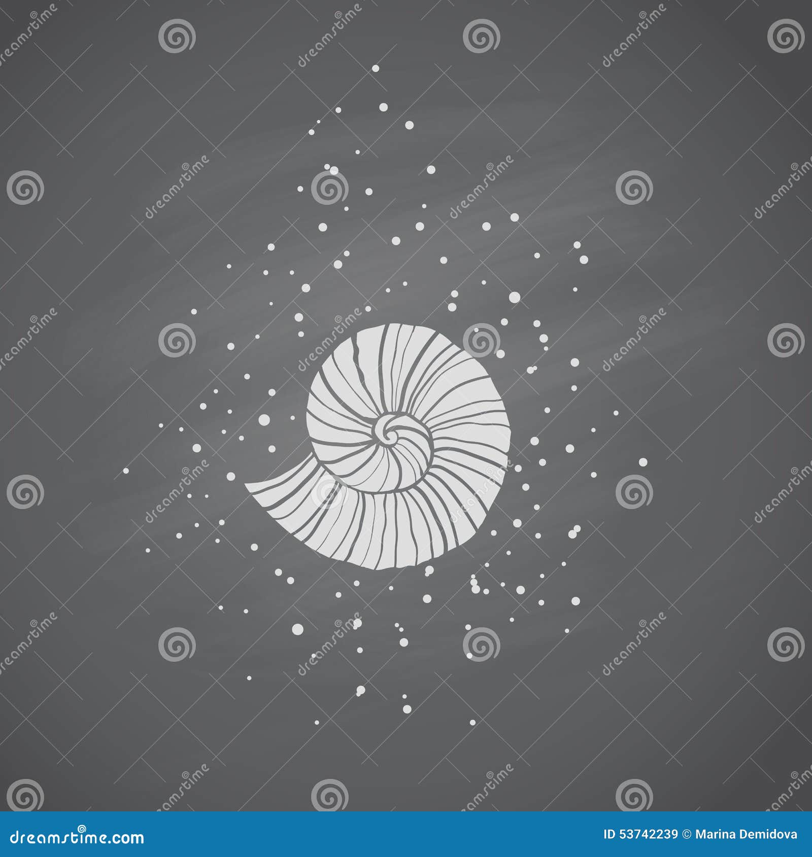 Seashells in Sketch Style on Chalkboard Stock Vector - Illustration of ...