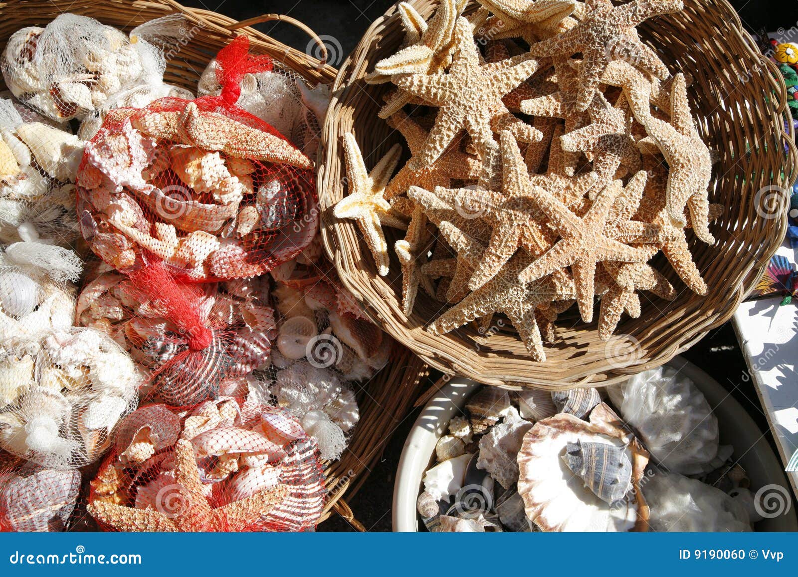 Seashells and Starfish stock photo. Image of souvenir - 9190060
