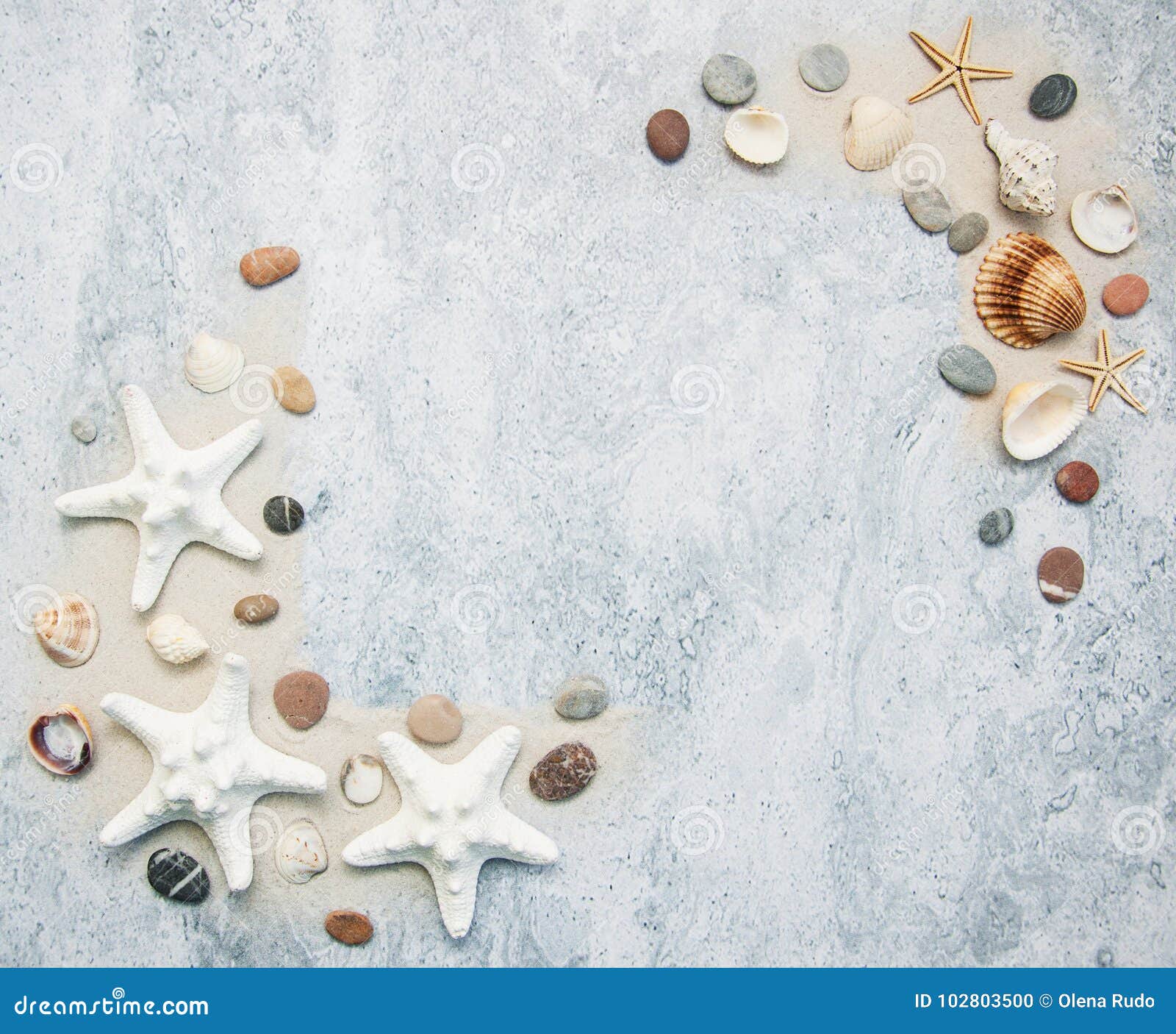 Starfish Border Stock Photography | CartoonDealer.com #8642150