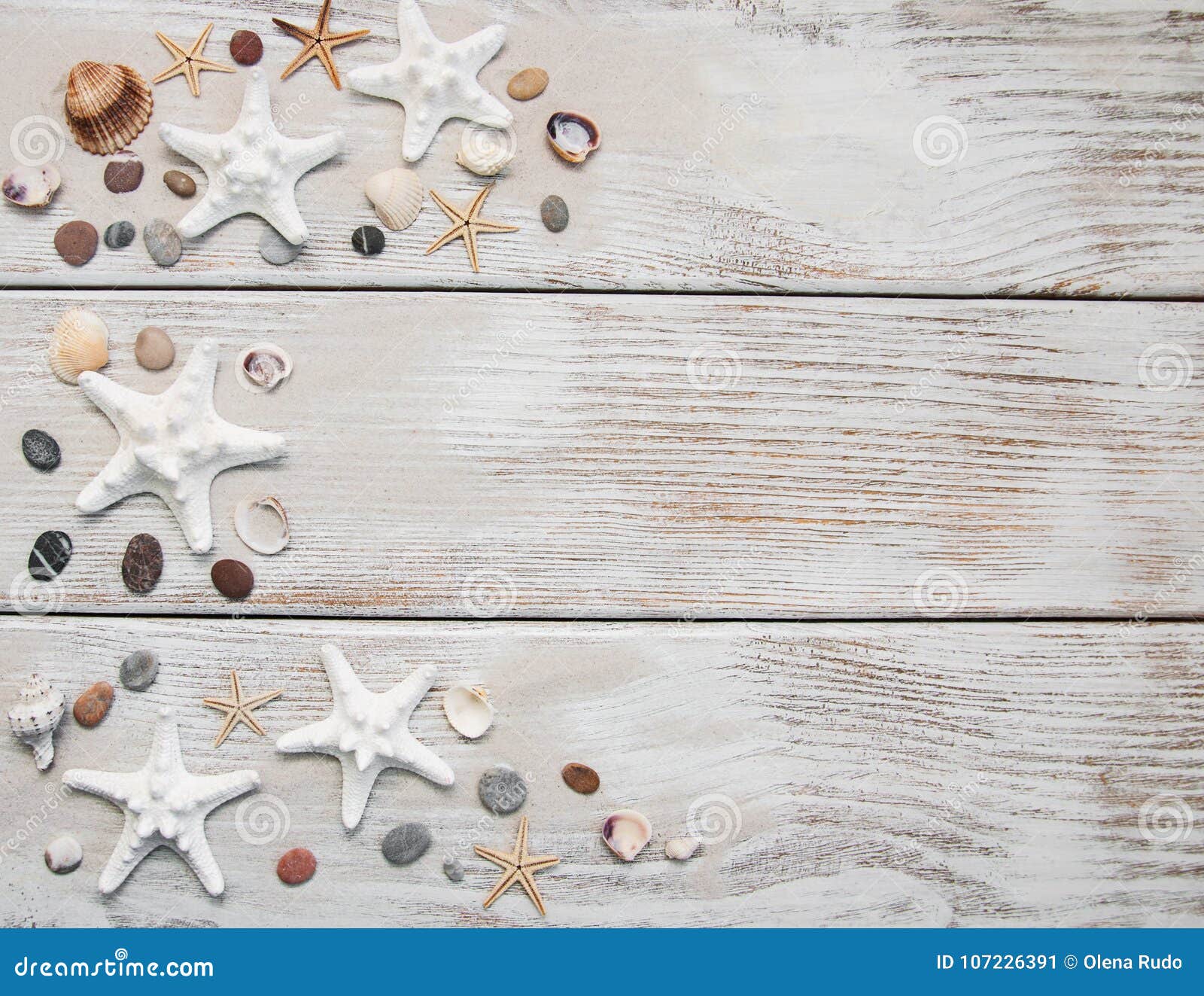 Starfish Border Stock Photography | CartoonDealer.com #8642150