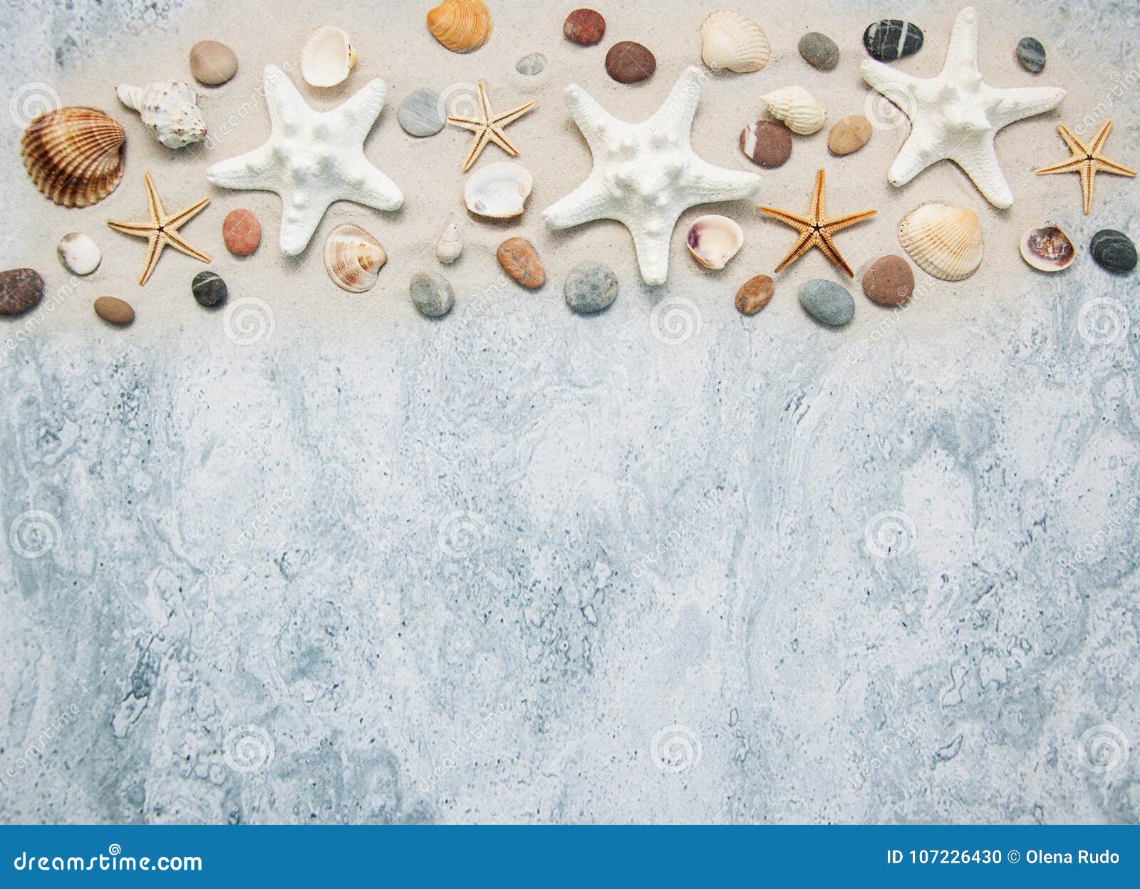 Seashells and Starfish Border Stock Photo - Image of coastline, seaside ...