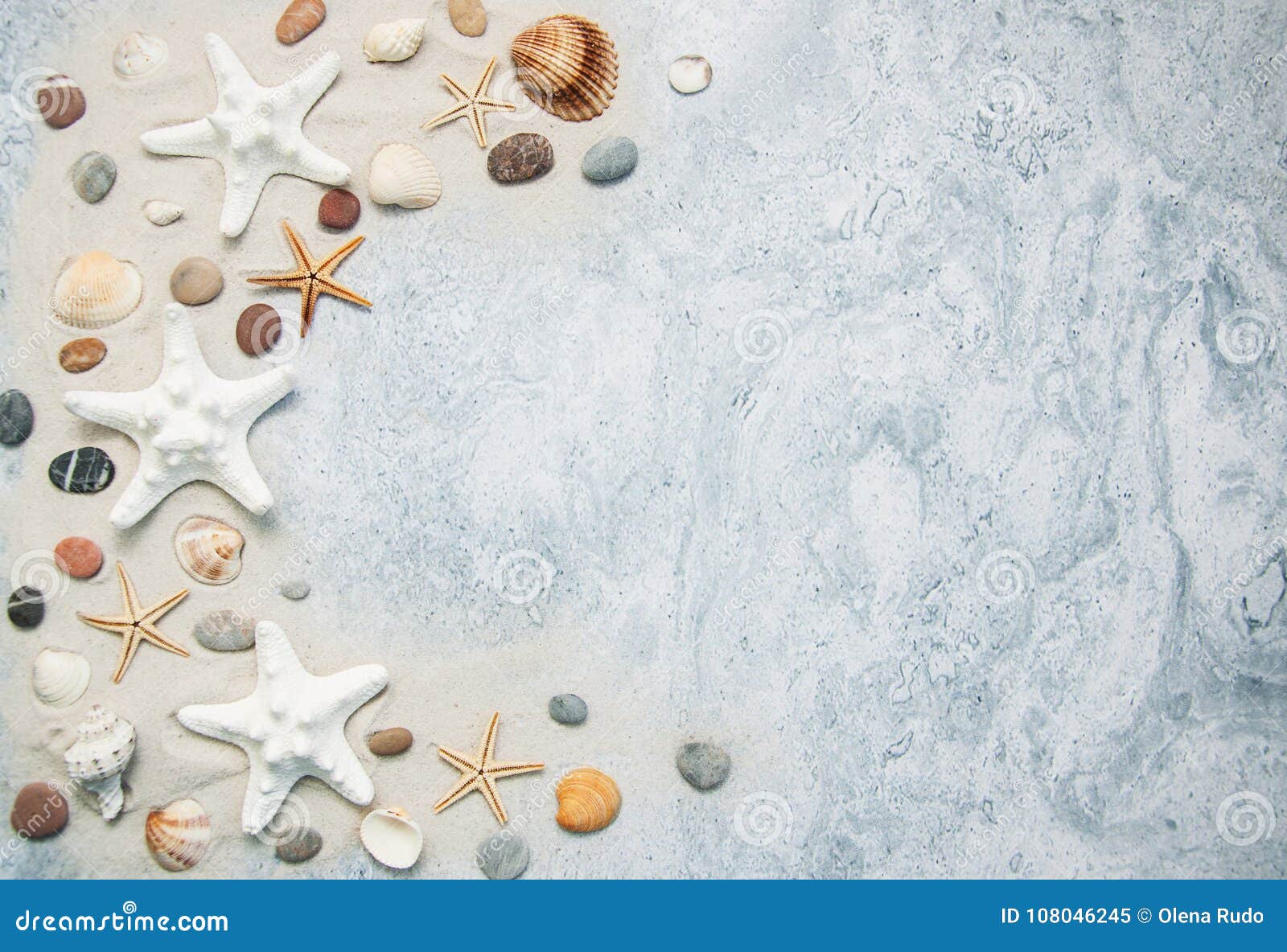 Starfish Border Stock Photography | CartoonDealer.com #8642150