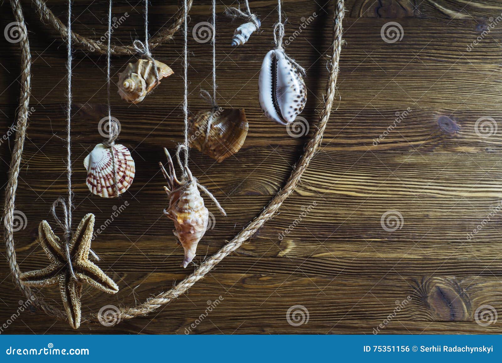 Seashells and Starfish Hanging on the Rope, Vintage Styling Stock Photo ...