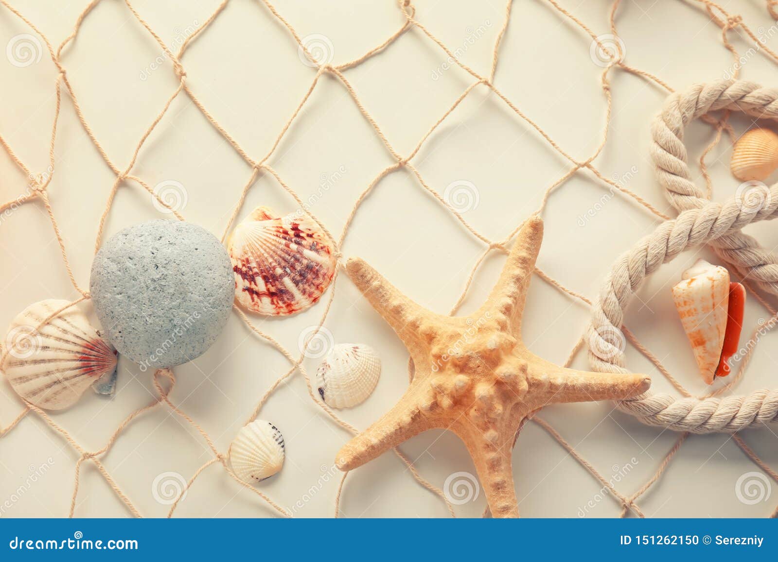 Seashells with Starfish and Net on White Background Stock Photo - Image ...