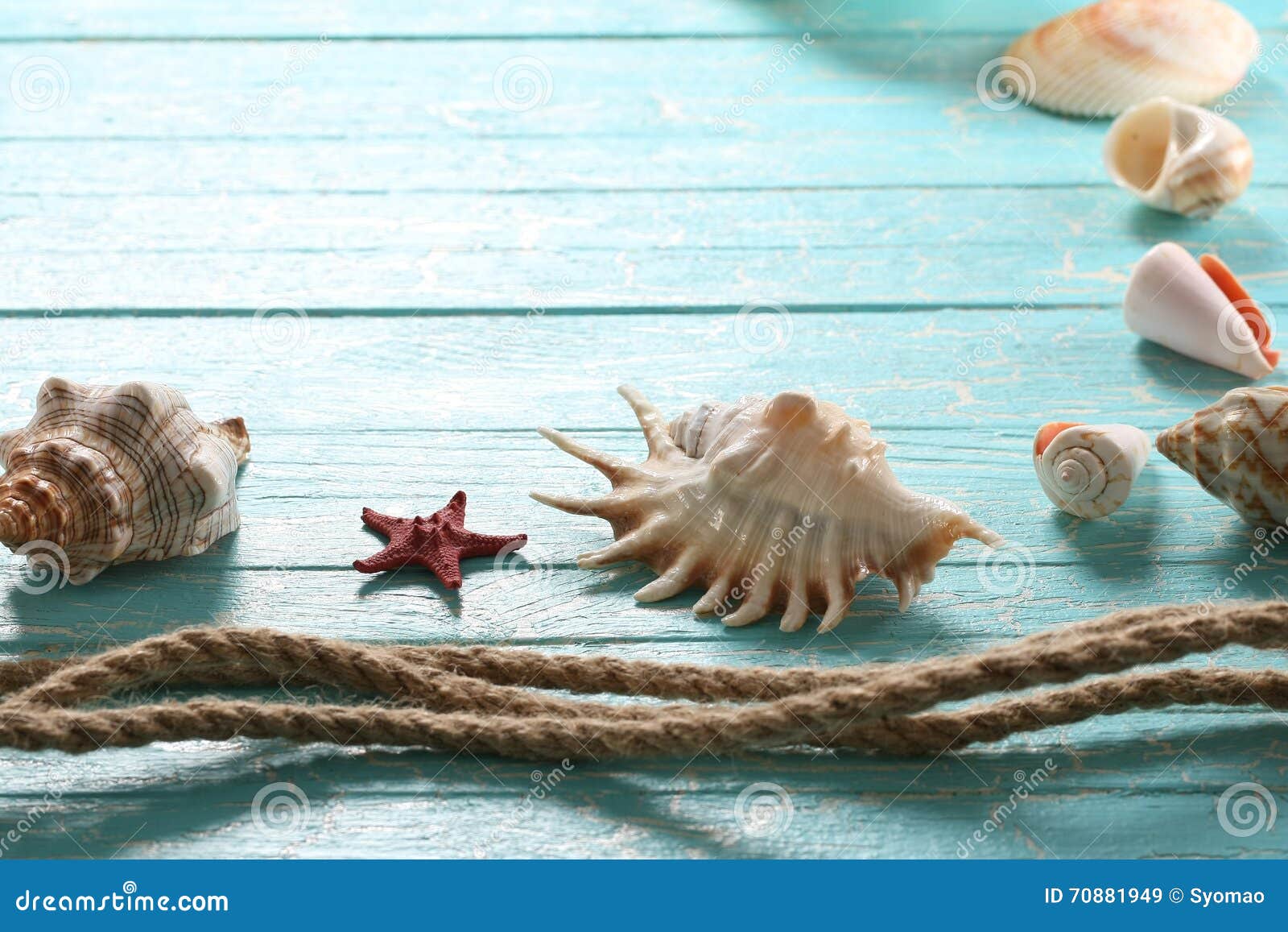 Seashells, Starfish and a Rope on a Background of Painted Boar Stock ...