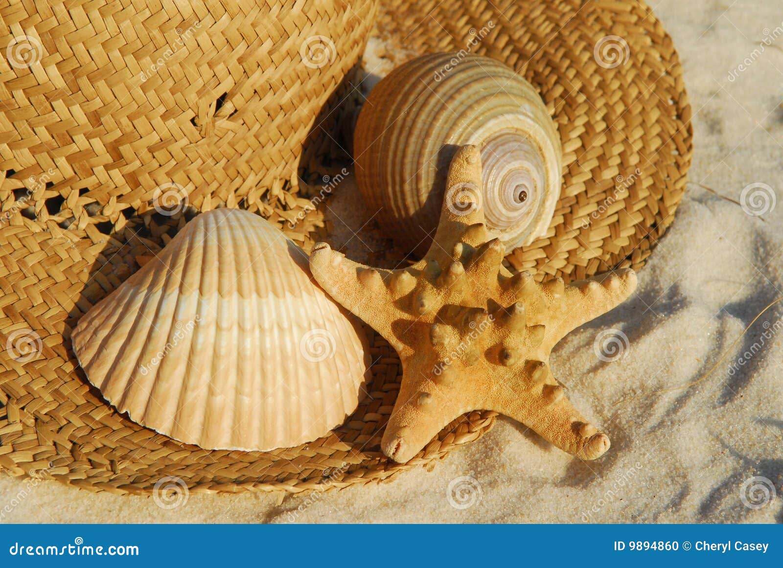 Seashells on straw hat stock photo. Image of afternoon - 9894860