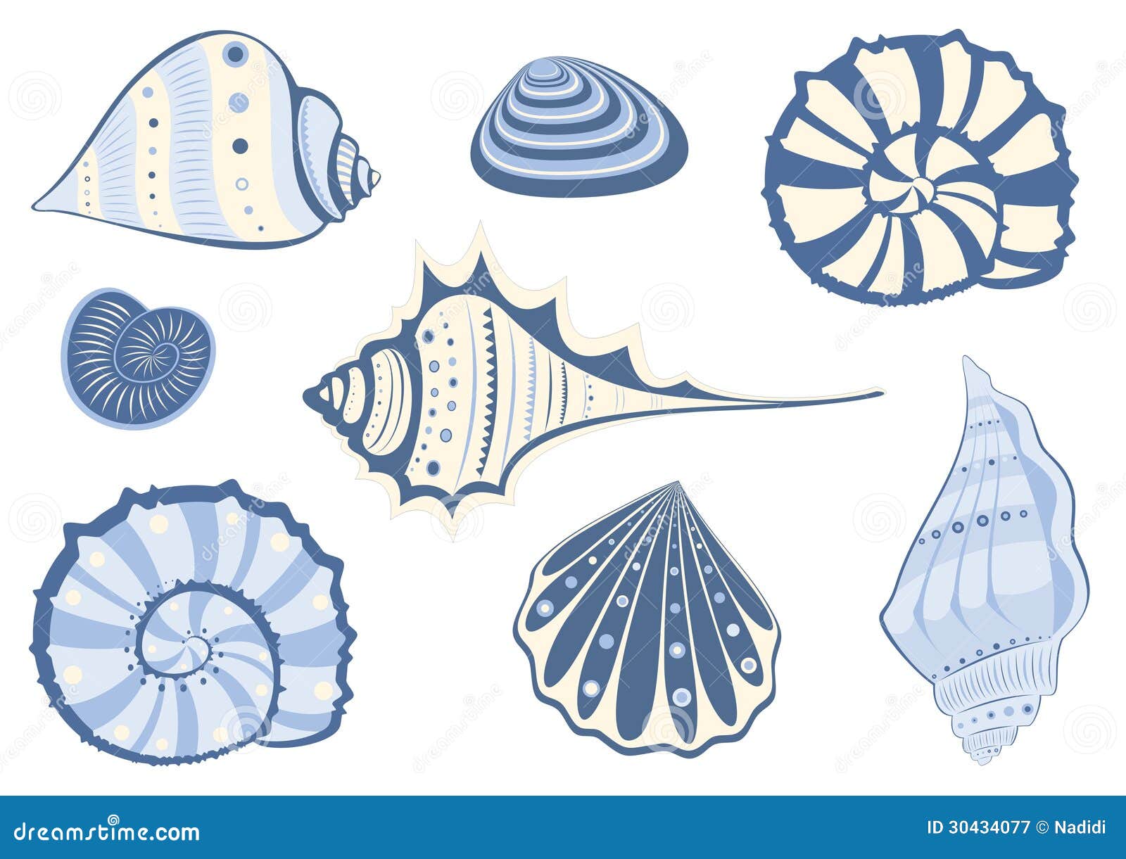 Seashells stock vector. Illustration of underwater, nature - 30434077