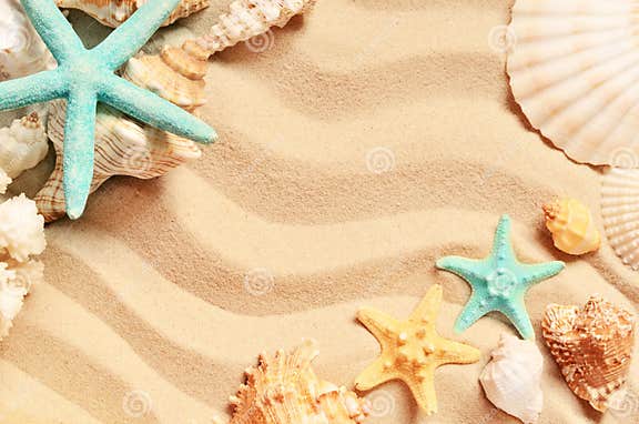 Seashells on a Summer Beach and Sand As Background. Sea Shells. Stock ...