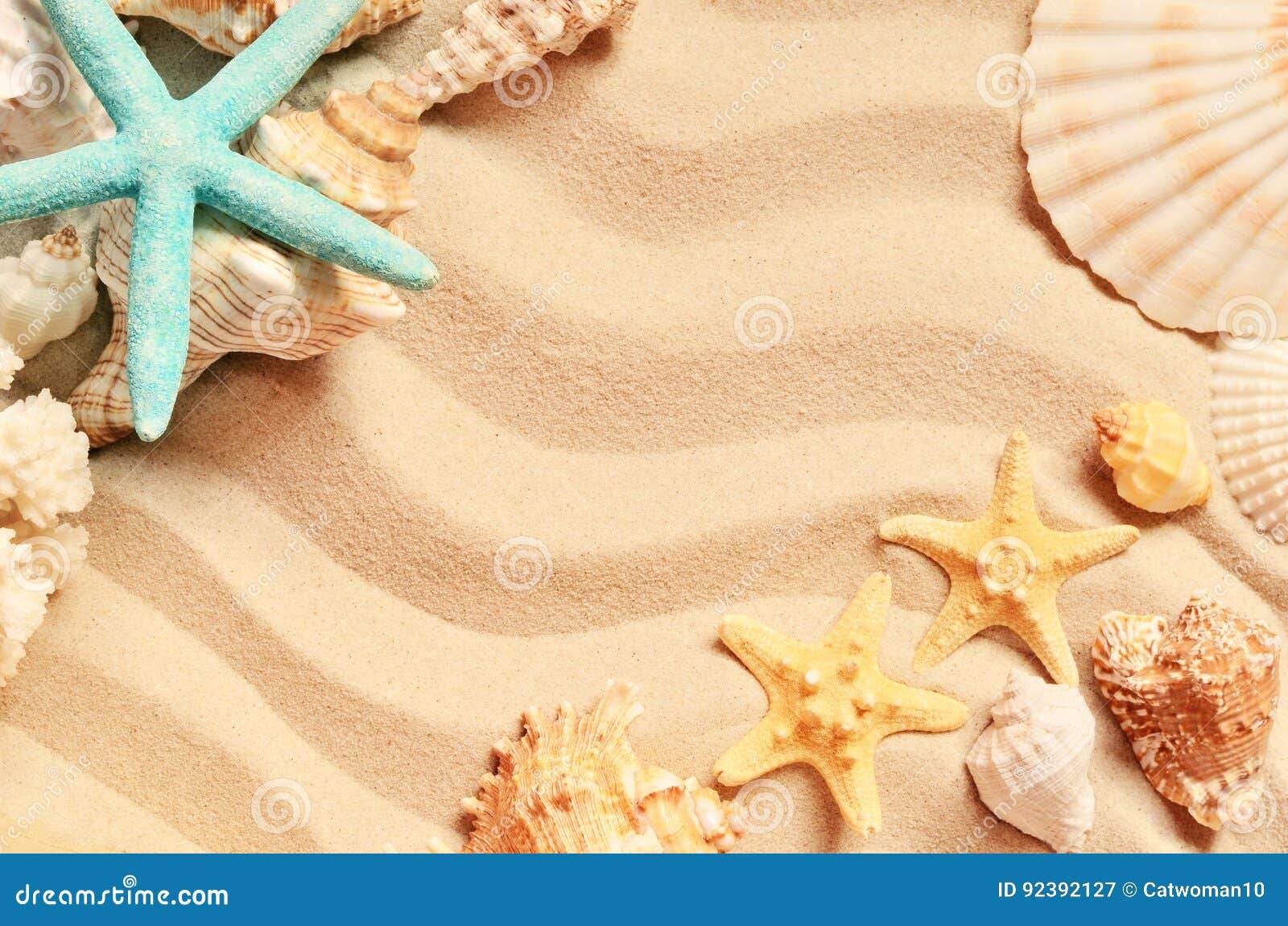 Seashells On A Summer Beach And Sand As Background. Sea Shells. Stock ...