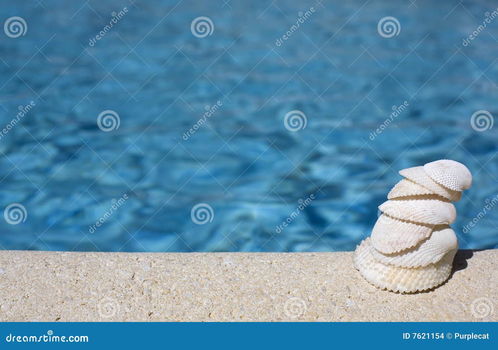 Seashells by the Swimming Pool Stock Photo - Image of seashells, blue ...
