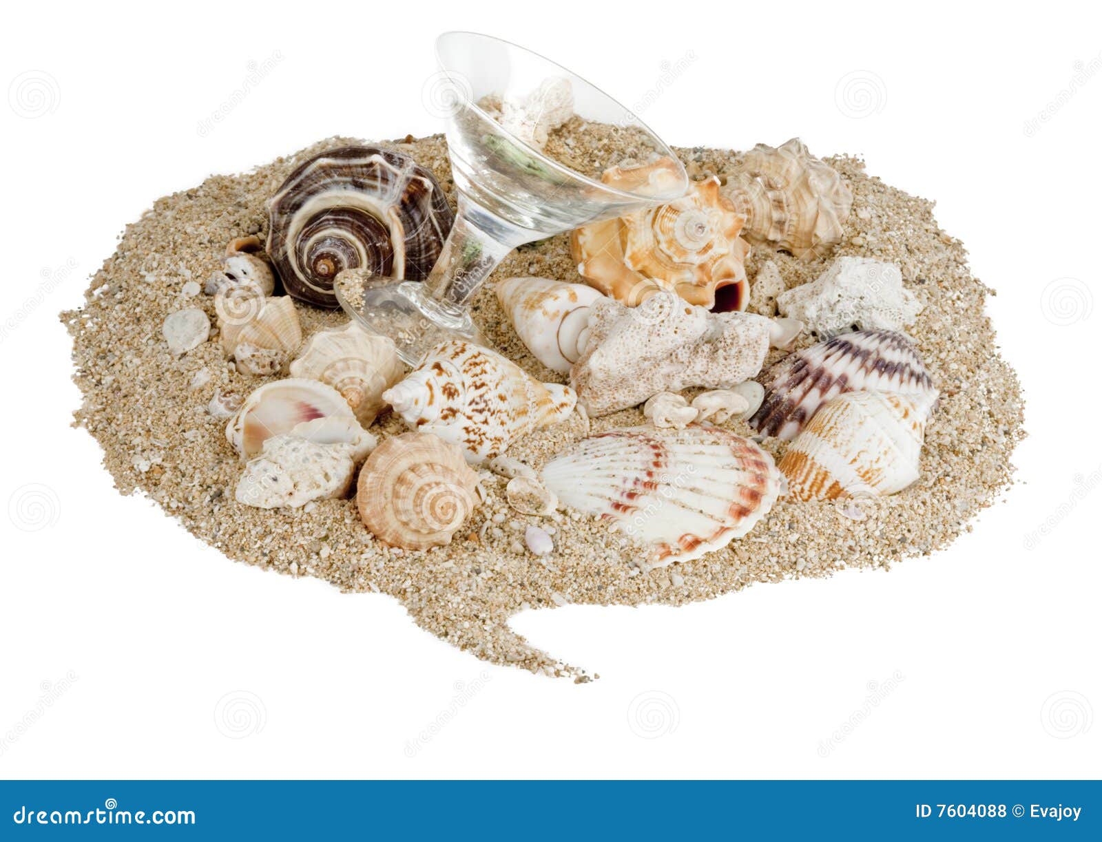 Seashells Talk Bubble stock photo. Image of close, texture - 7604088