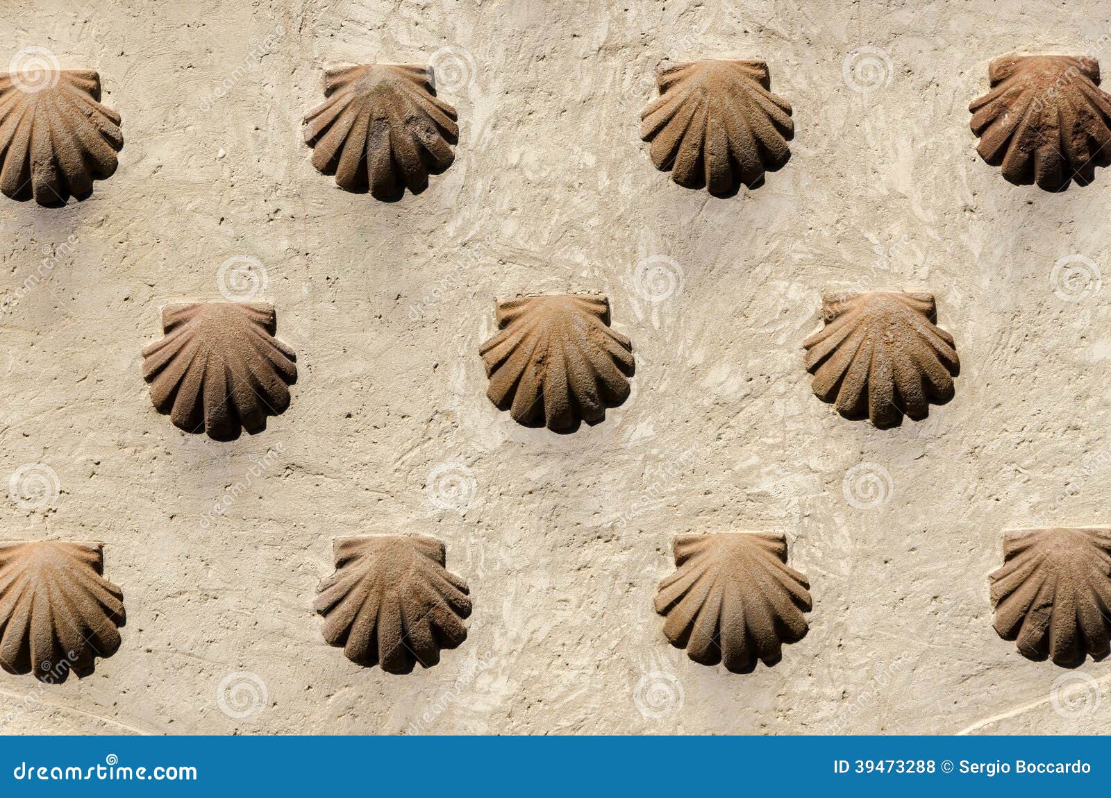 Seashells stock photo. Image of texture, design, plaster - 39473288