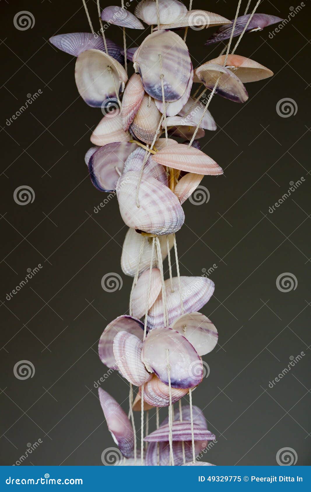 Seashells on Thread Background on Tropical Resort Stock Image - Image ...
