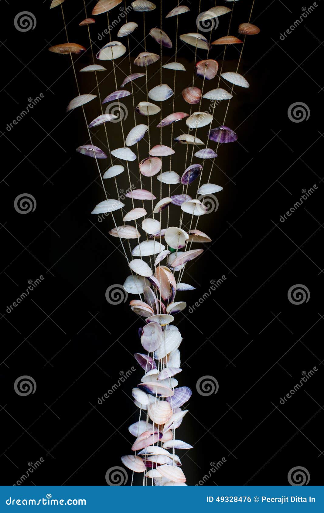Seashells on Thread Background on Tropical Resort Stock Photo - Image ...
