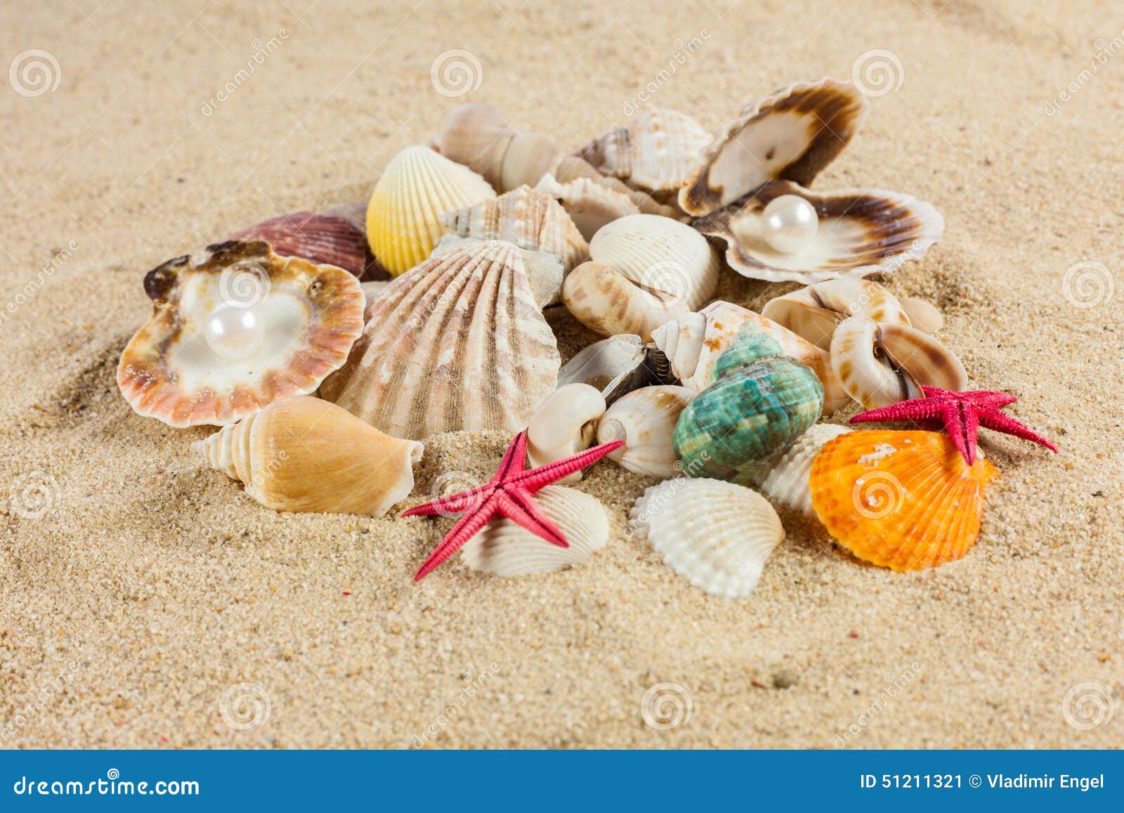 Seashells Und Starfish on Sand Beach Postcard Stock Image - Image of ...