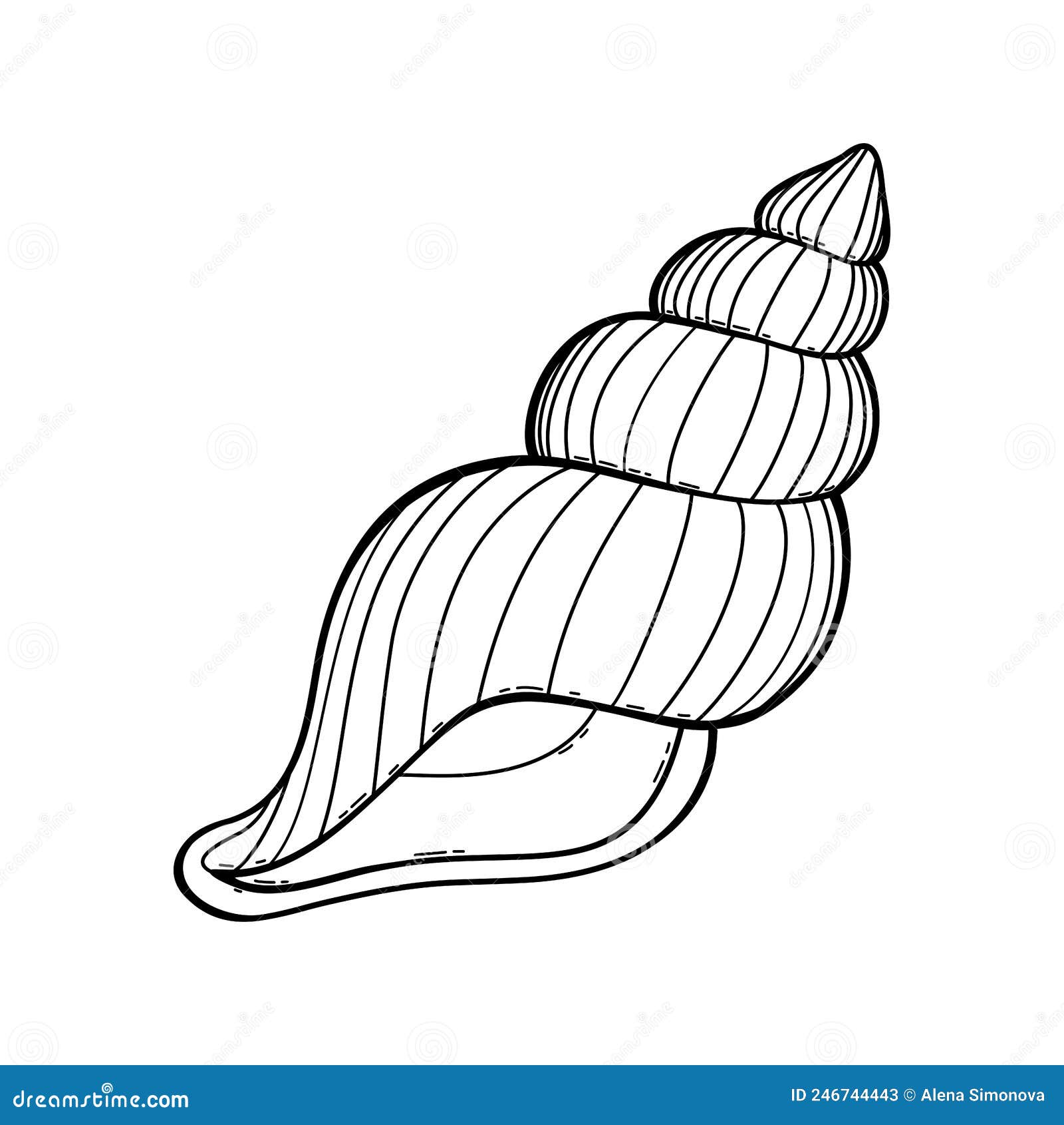 Hand Draw Sketch Sea Shell-2 Stock Vector - Illustration of shellfish ...