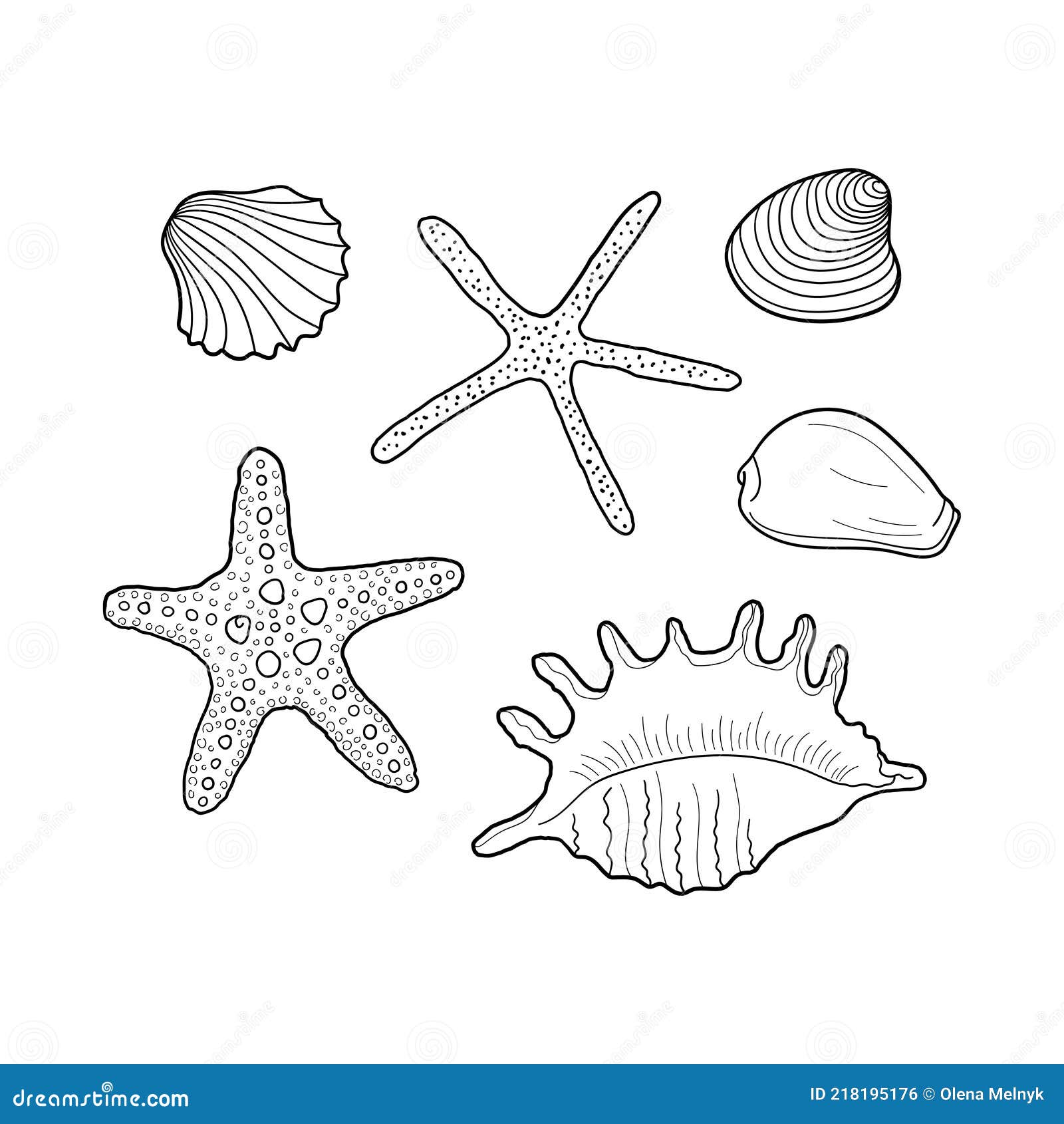 A Set Of Shells Of Different Shapes And Colors On A White Background ...