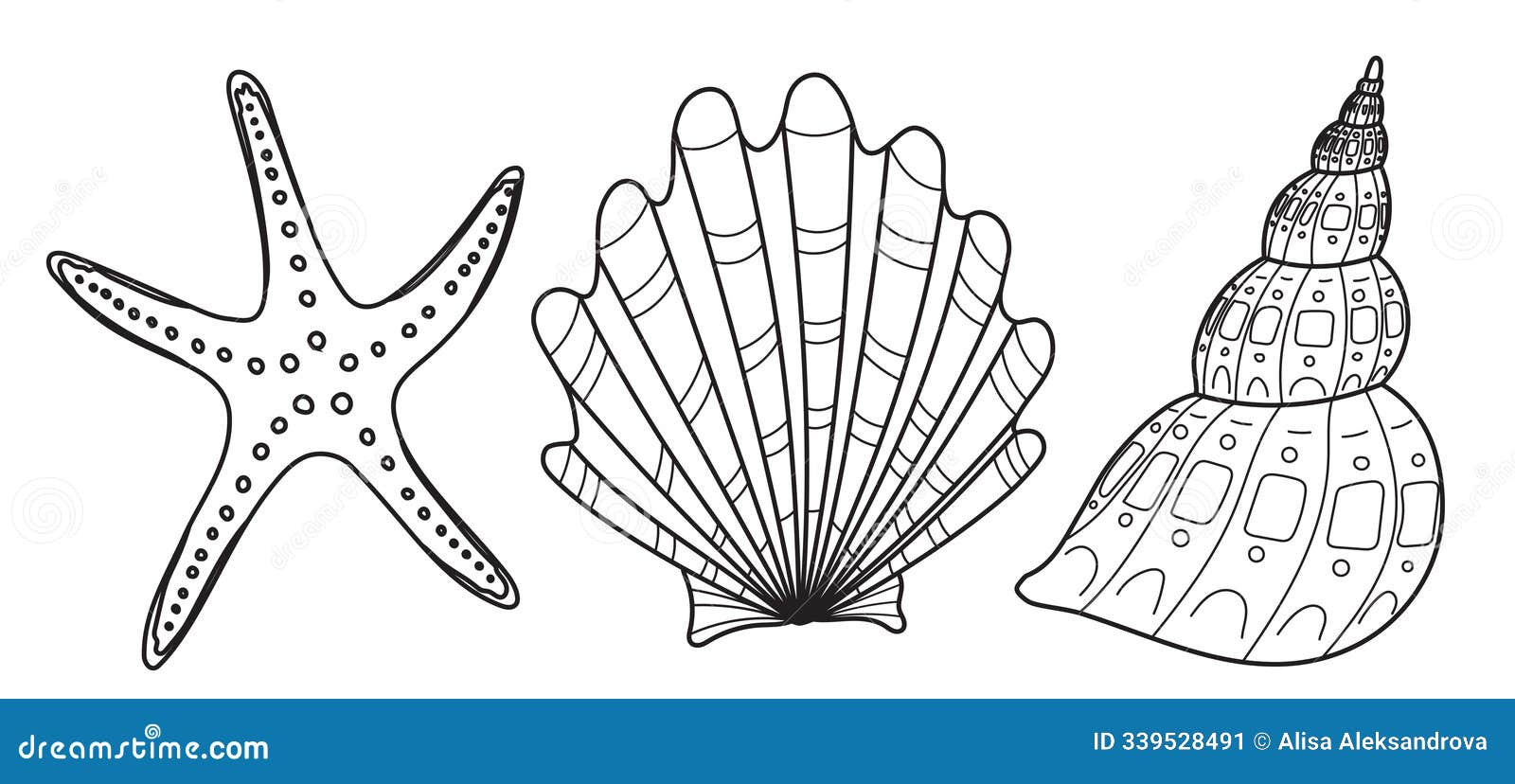 Seashells Vector Set. Linear Drawing of Starfish and Scallop Painted by ...
