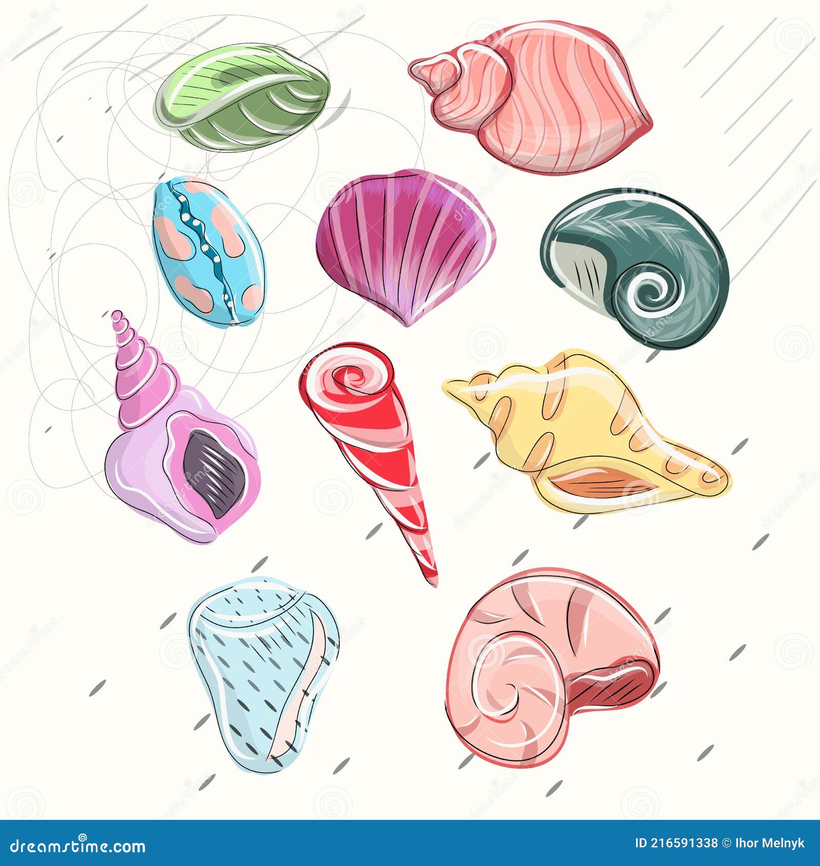 Seashells vector set stock vector. Illustration of ocean - 216591338