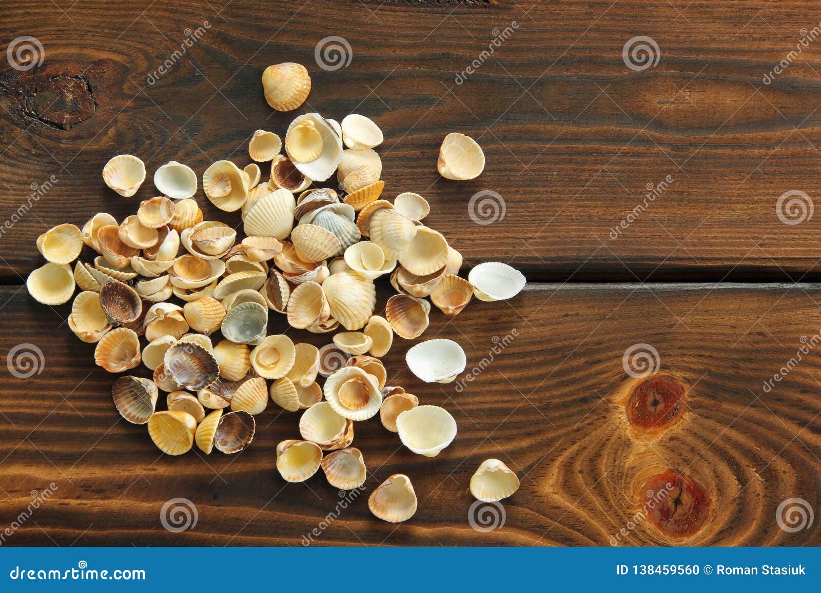 Seashells on Wooden Background. Sea Shell Stock Photo - Image of ...