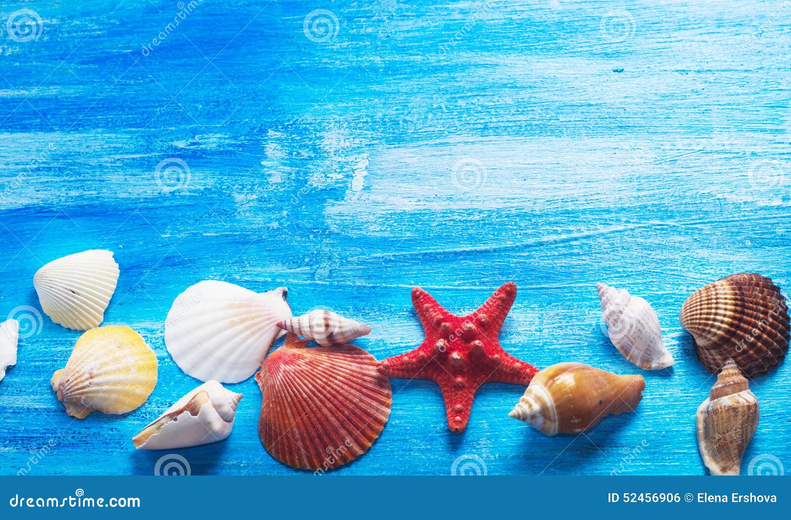 Seashells stock photo. Image of side, seashells, beach - 52456906