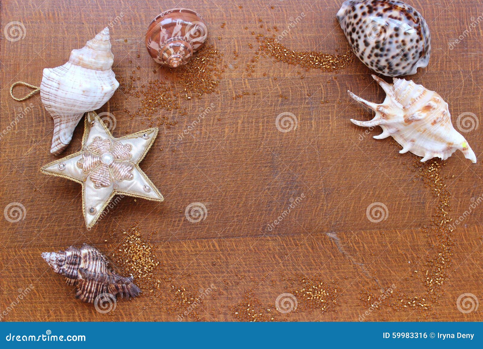Seashells on a Wooden Board Stock Photo - Image of coast, frame: 59983316