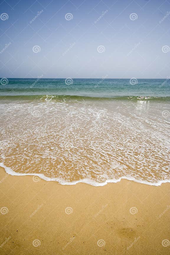 Seashore stock photo. Image of beach, nest, white, flight - 1077096