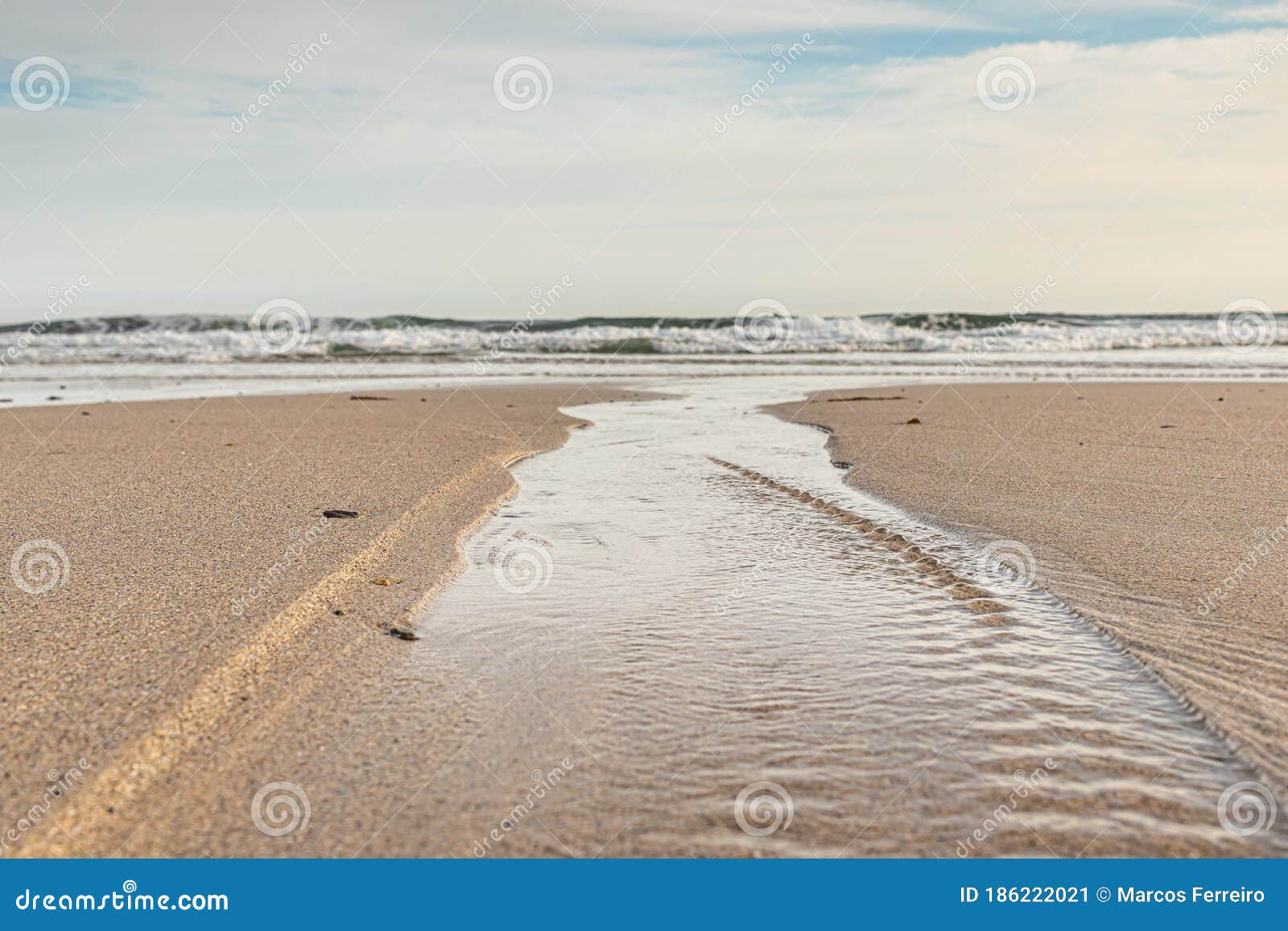 Seashore on the Beach, No People Stock Image - Image of shore, lake ...