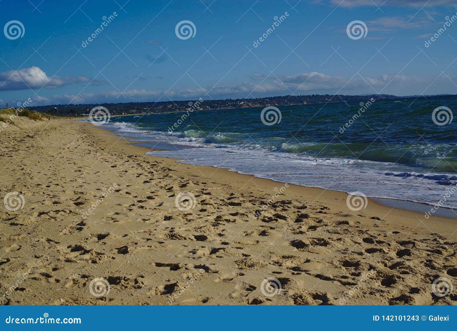 Seashore with Blue Water and Clear Sky Stock Image - Image of ...