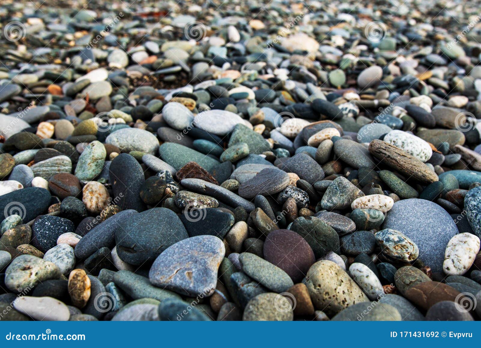The Seashore is Covered with Small Pebbles Stock Photo - Image of ...