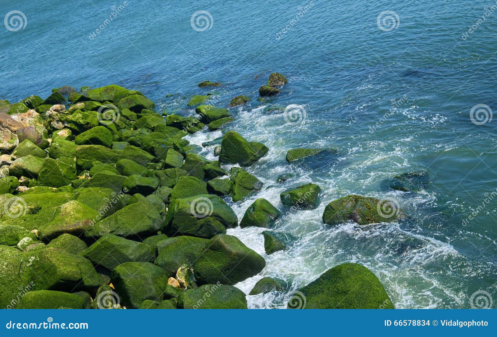Seashore stock photo. Image of nature, coastline, covered - 66578834