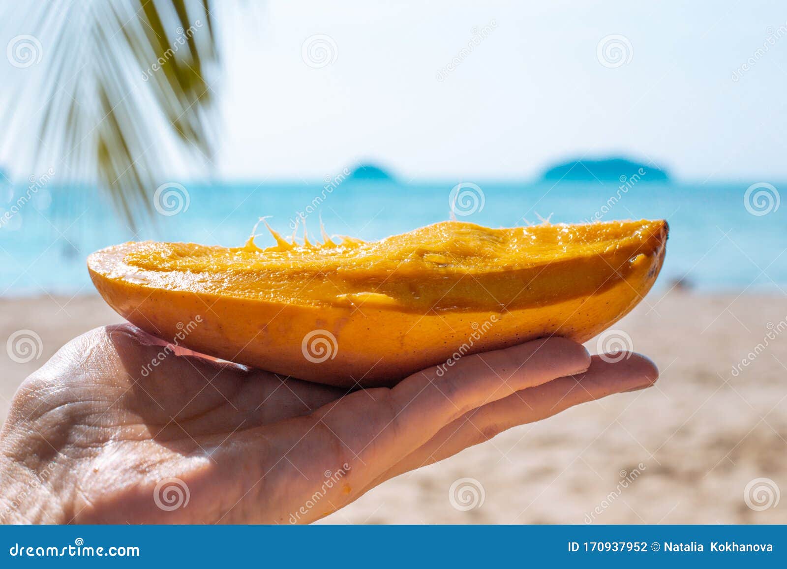 On the beach mango in hand stock photo. Image of tour - 170937952