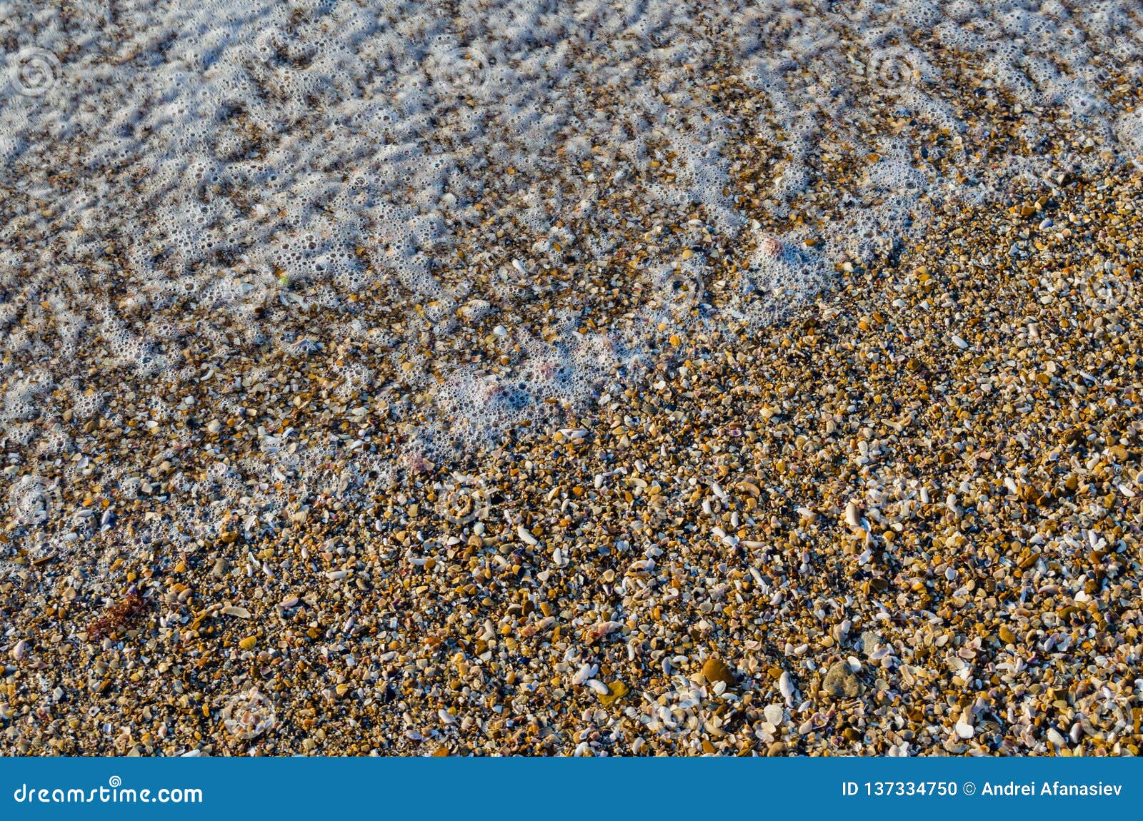 Seashore of Shellstone with a Coastal Foamy Wave Stock Photo - Image of ...