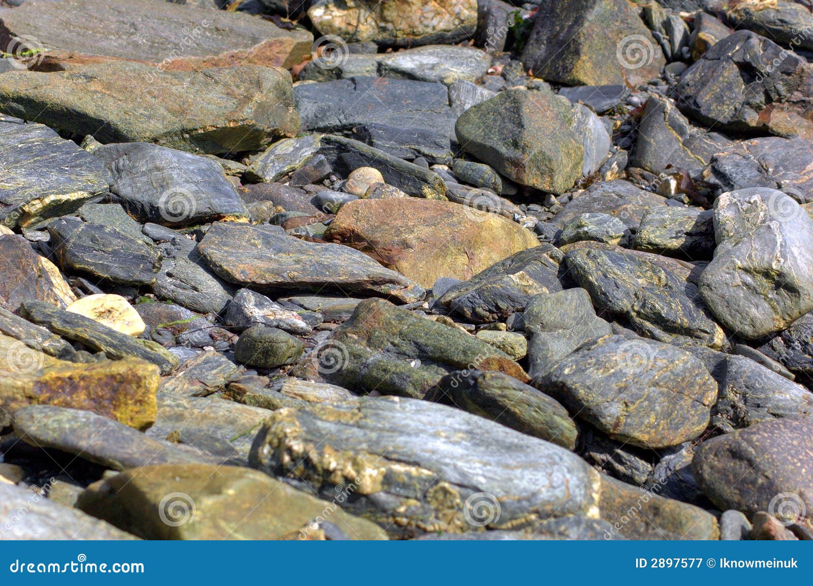 Seashore Stone Texture stock image. Image of rocks, colorful - 2897577