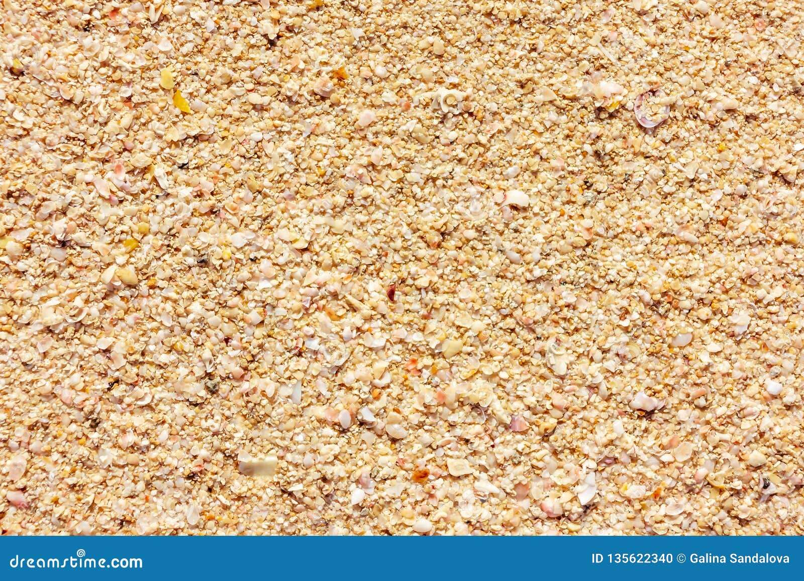 Remnants Of Shells Anti-tank Rocket Propelled Grenade Launcher And High ...