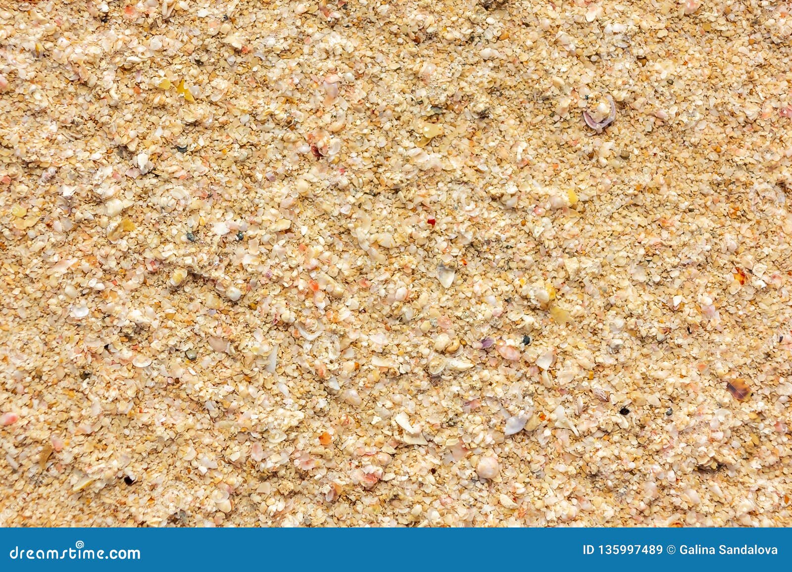 Seashore, the Surface of the Sand and Remnants of Shells Stock Image ...