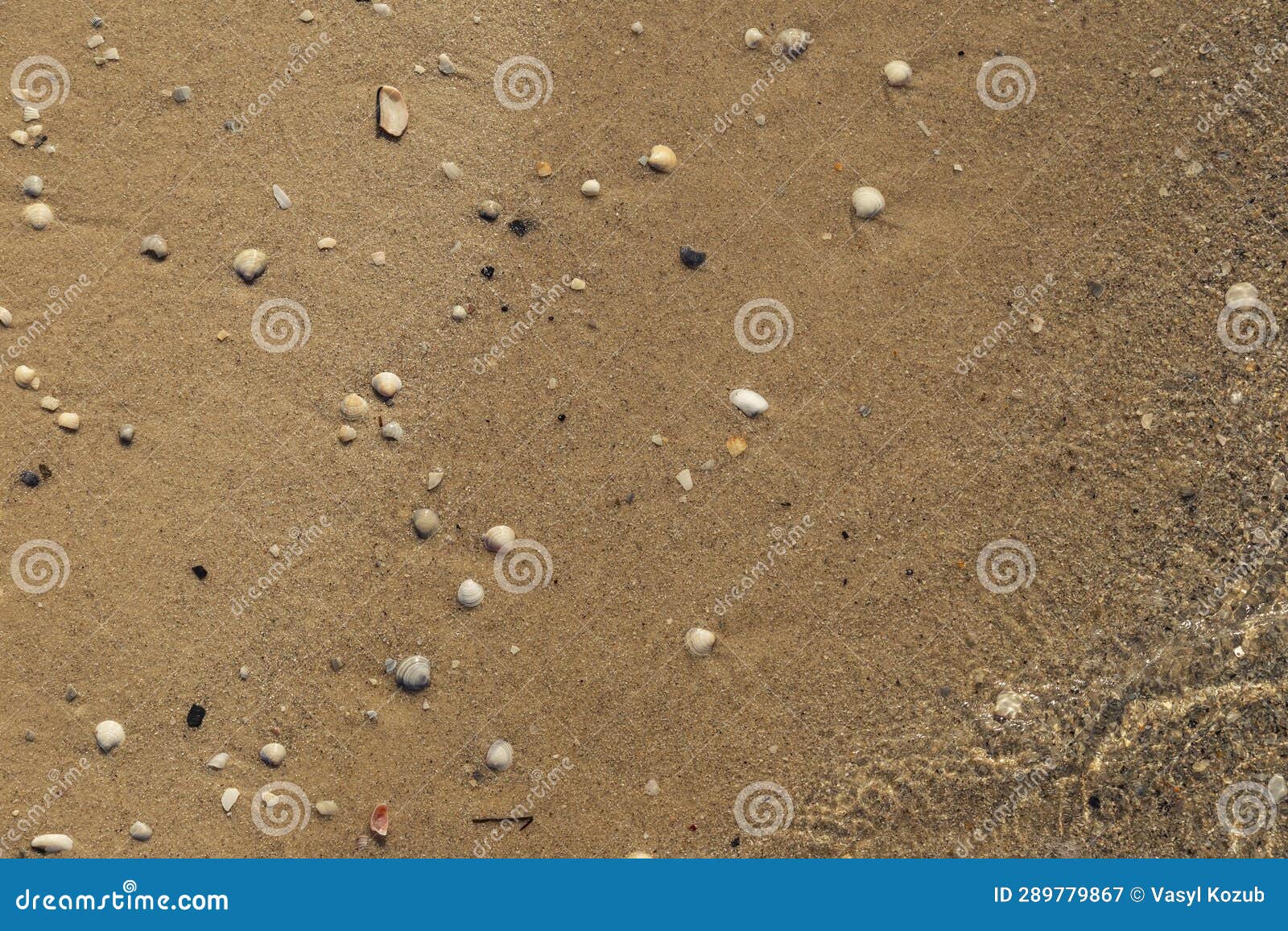 Seashore view from above stock image. Image of sand - 289779867
