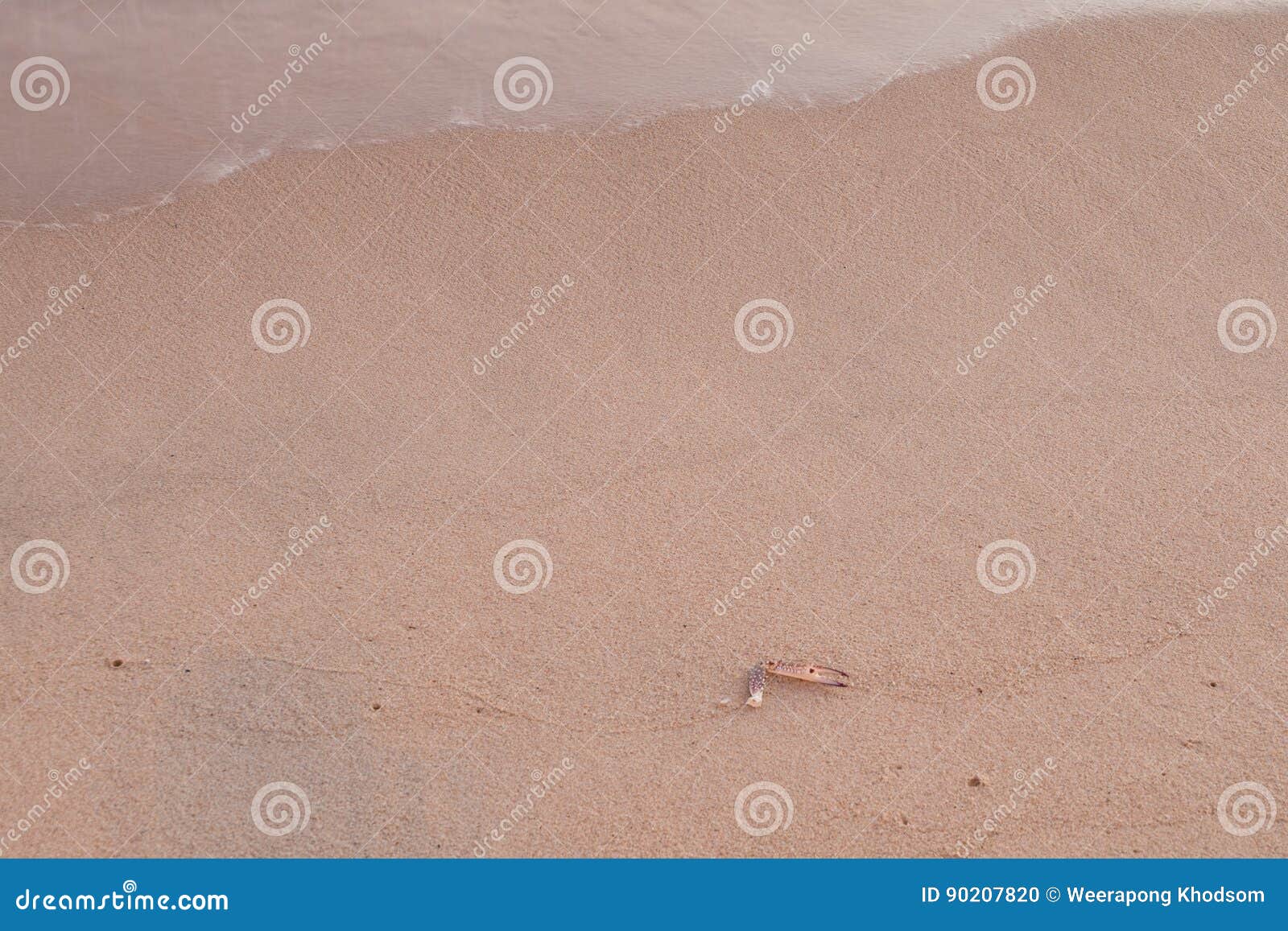 Seashore texture stock photo. Image of fresh, foam, topview - 90207820