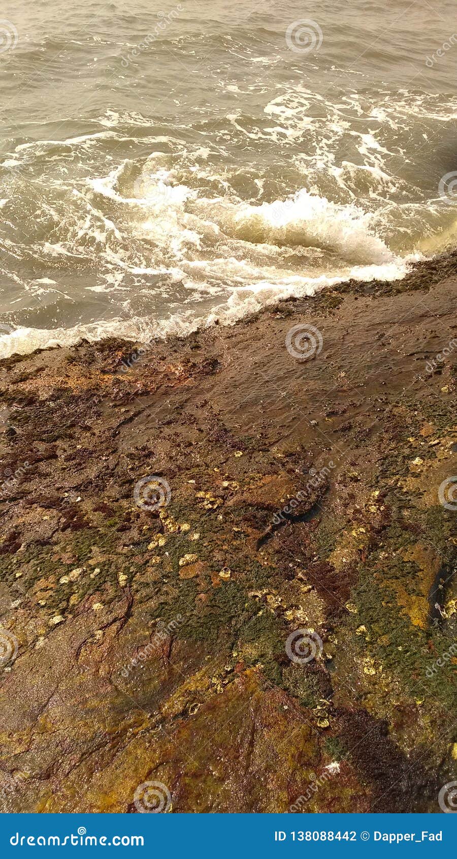 Seashore on Tropical Season Stock Photo - Image of summer, side: 138088442