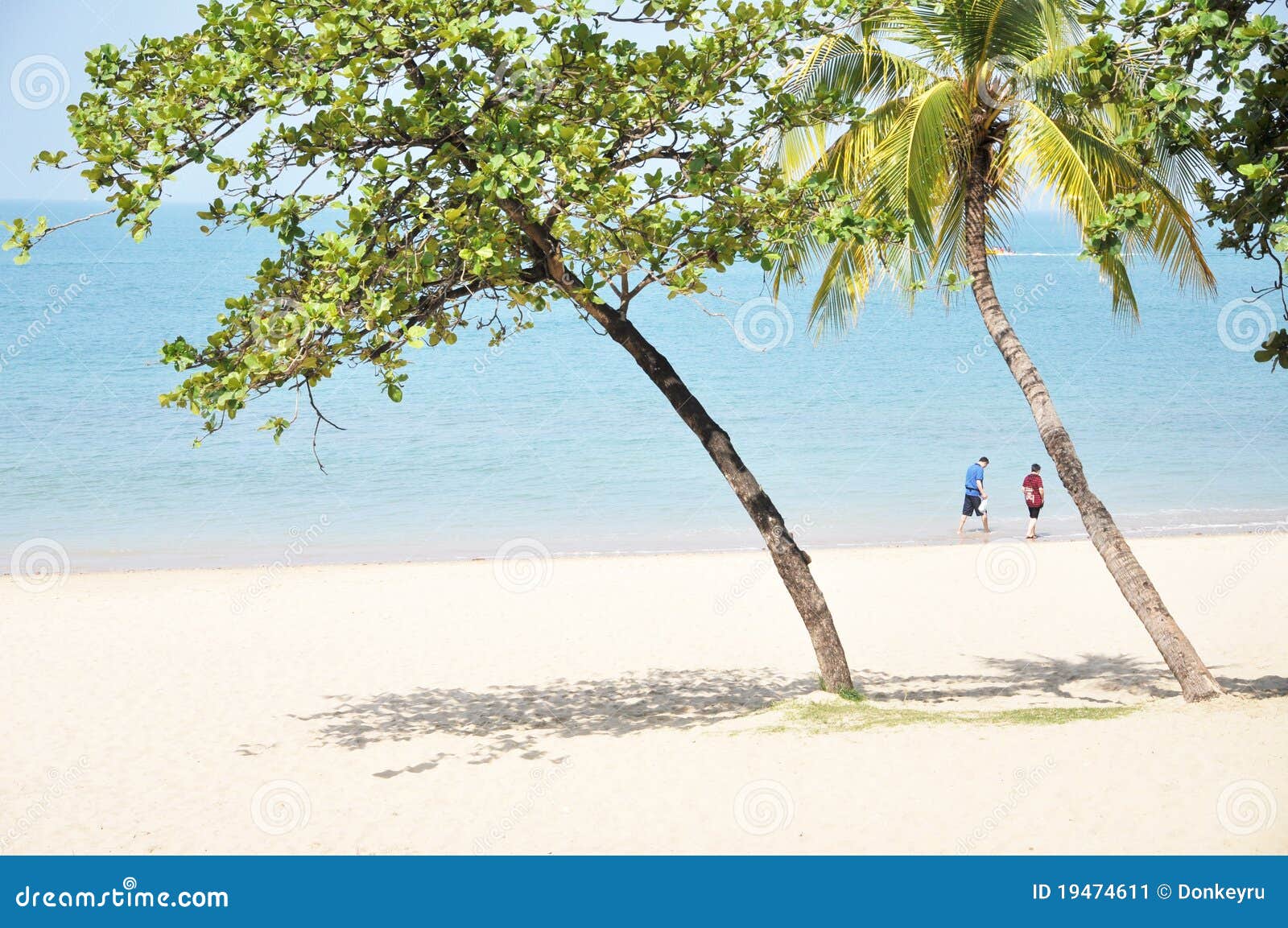 Seaside beach and tree stock image. Image of walking - 19474611