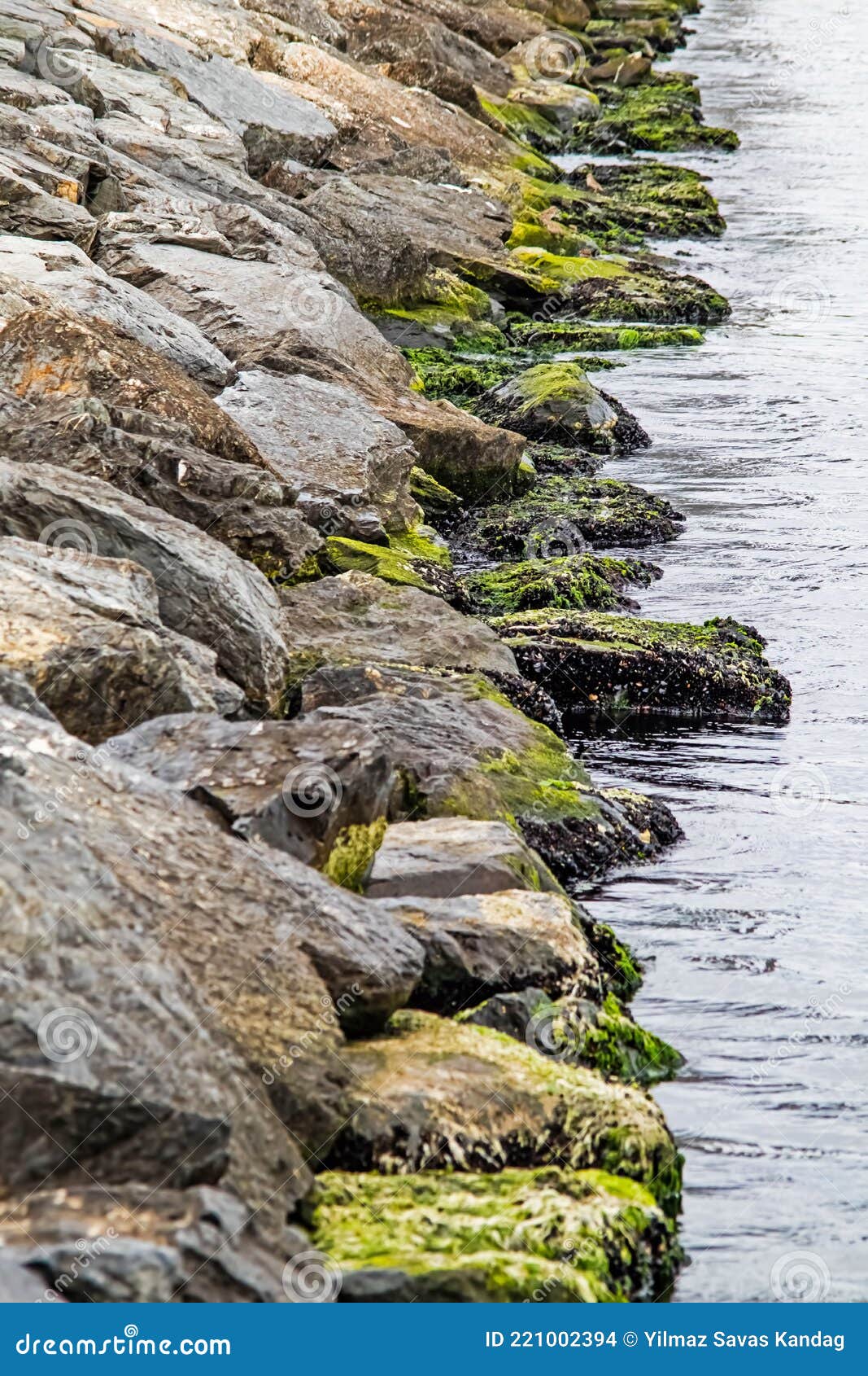 Seaside Cliffs and Calm Sea Stock Photo - Image of cliffs, coast: 221002394