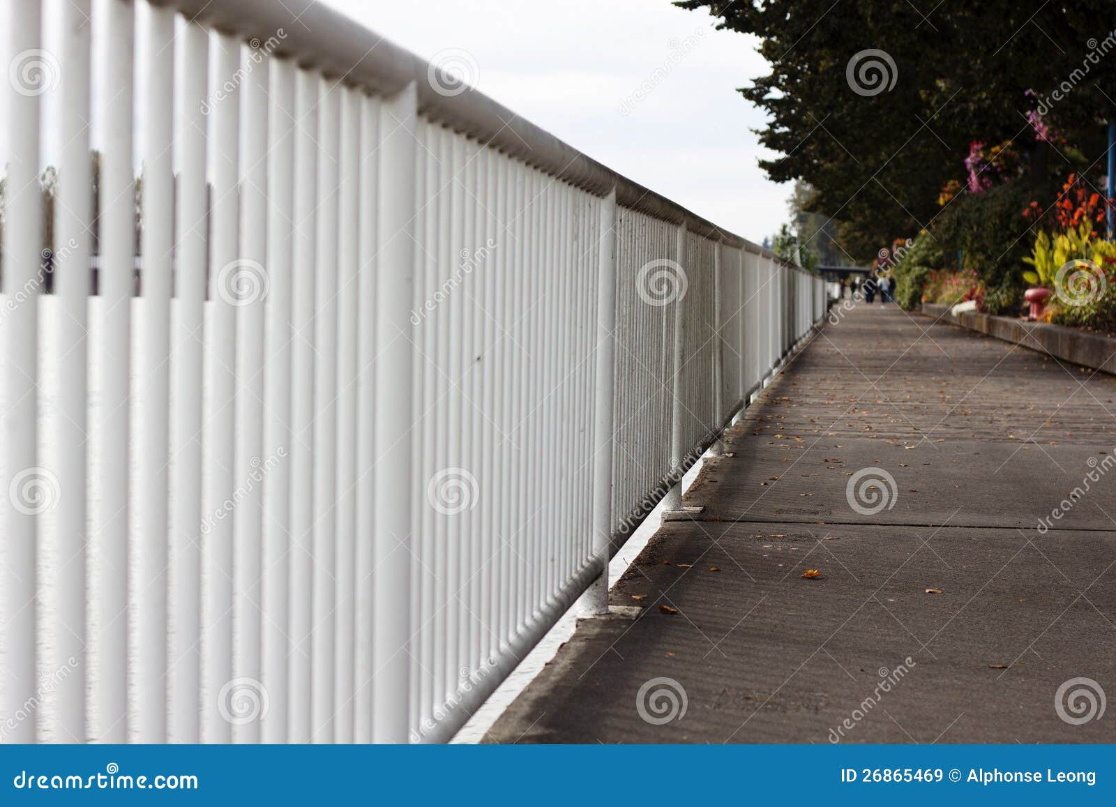 Seaside Fence stock image. Image of walkway, scenic, flowery - 26865469