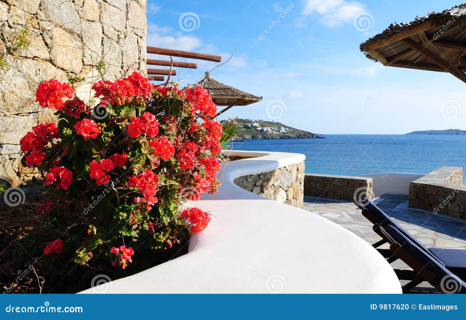 Seaside Flower stock photo. Image of greece, comfortable - 9817620