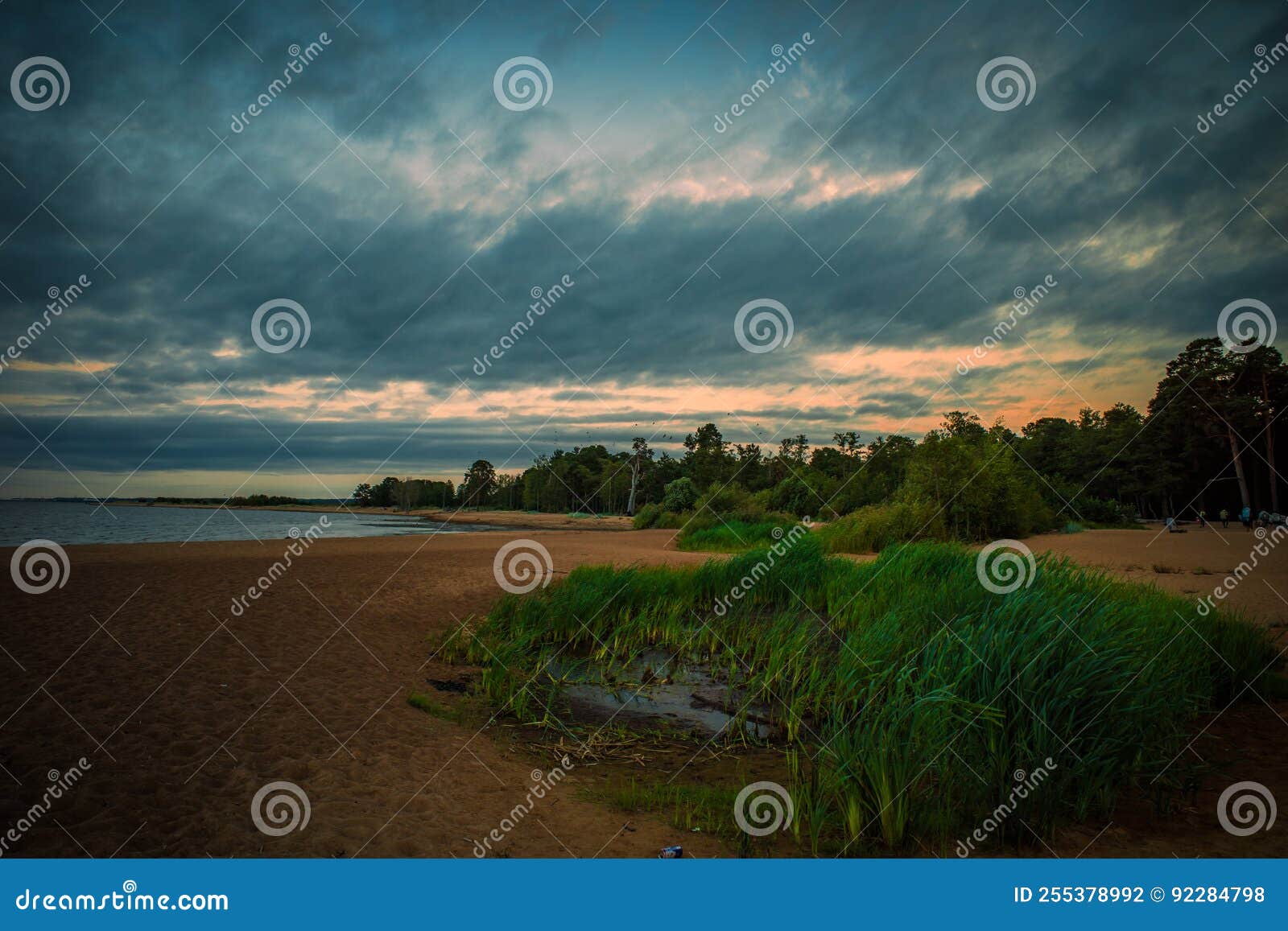 Seaside and the Forest Landscape Stock Photo - Image of wallpaper ...